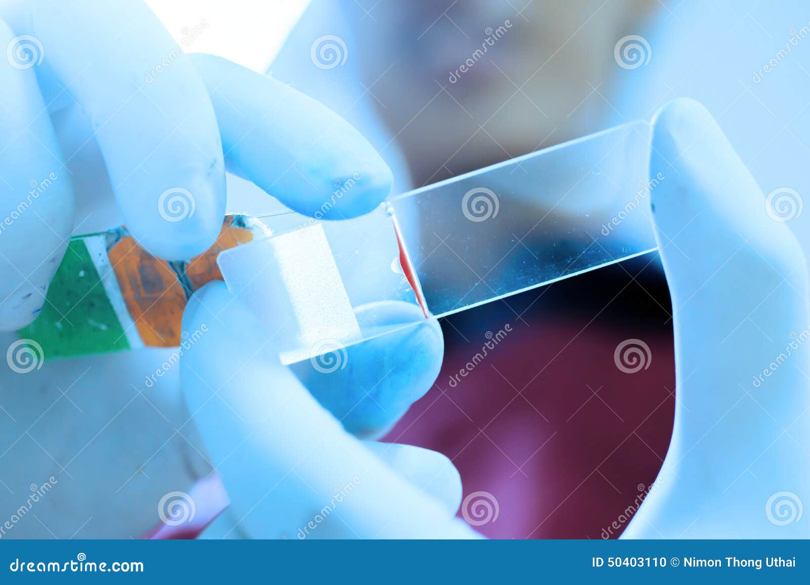 Blood Testing in Laboratory Stock Photo - Image of glassware, biologist ...