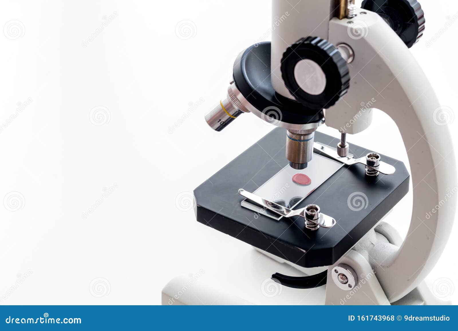 Blood Testing. Samples Viewing Under Microscope on White Background Top ...