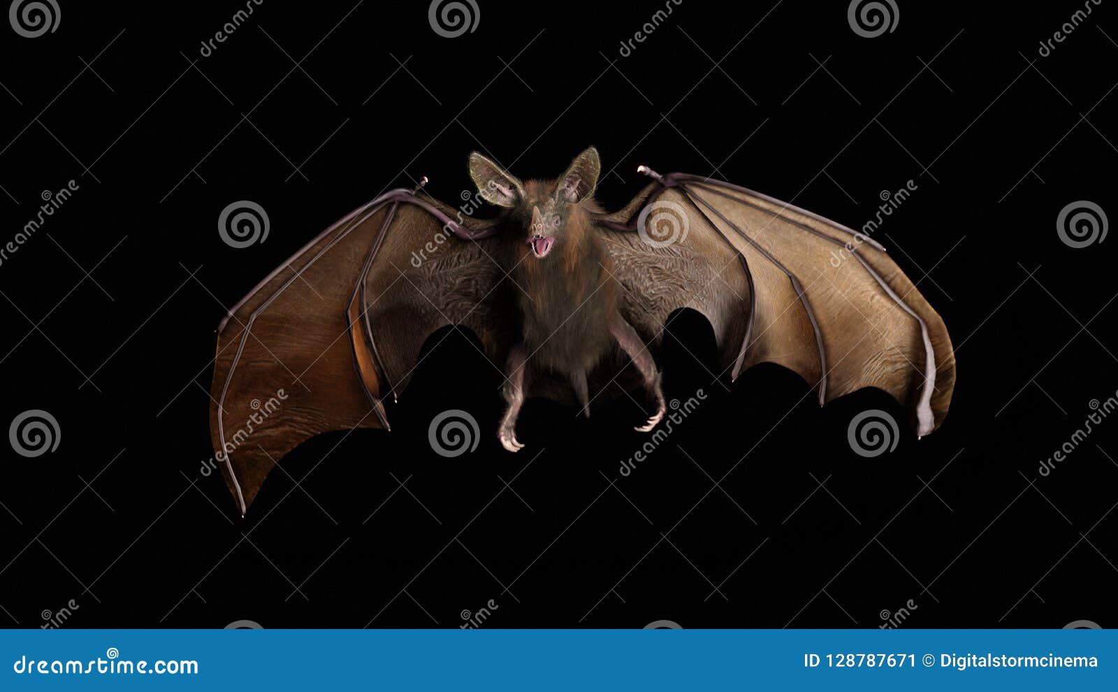 Blood Thirsty Vampire Bat Swooping in from the Darkness. Stock Image ...