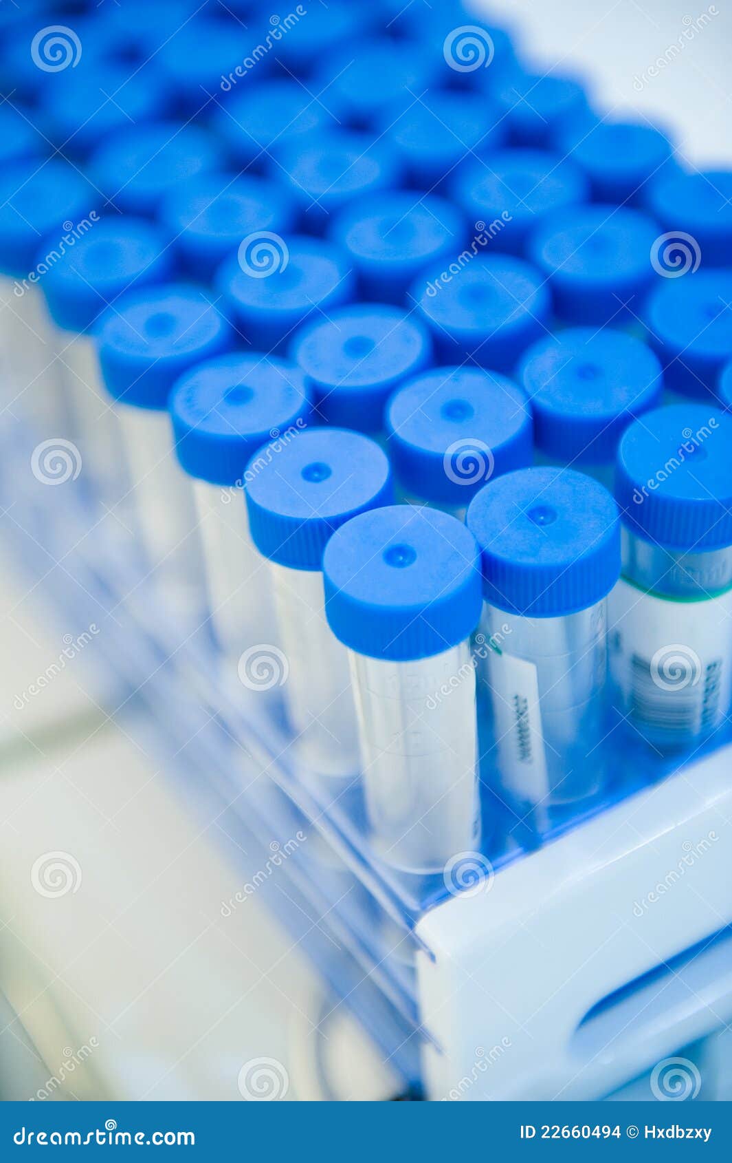 Blood tubes stock photo. Image of flask, chemistry, detail - 22660494