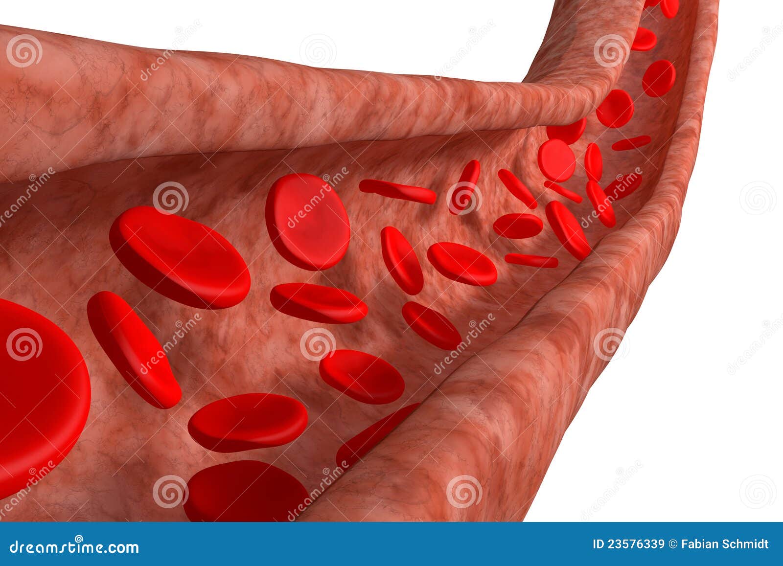 Blood Vein Royalty Free Stock Images - Image: 23576339