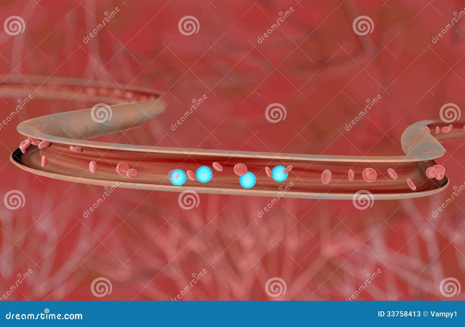 Blood-vein Moth Illustration, Drawing, Engraving, Ink, Line Art, Vector ...