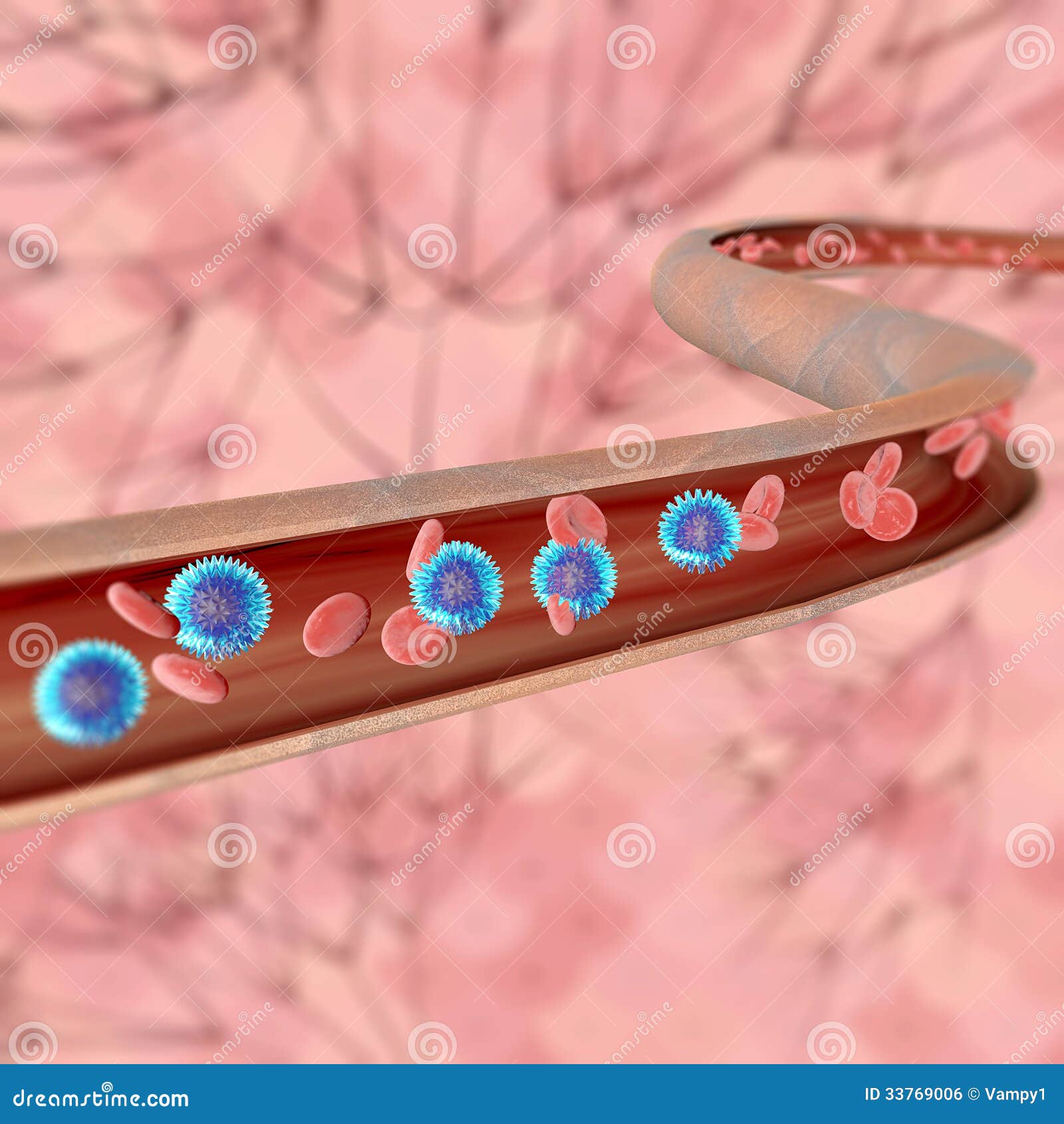 Blood-vein Moth Illustration, Drawing, Engraving, Ink, Line Art, Vector ...