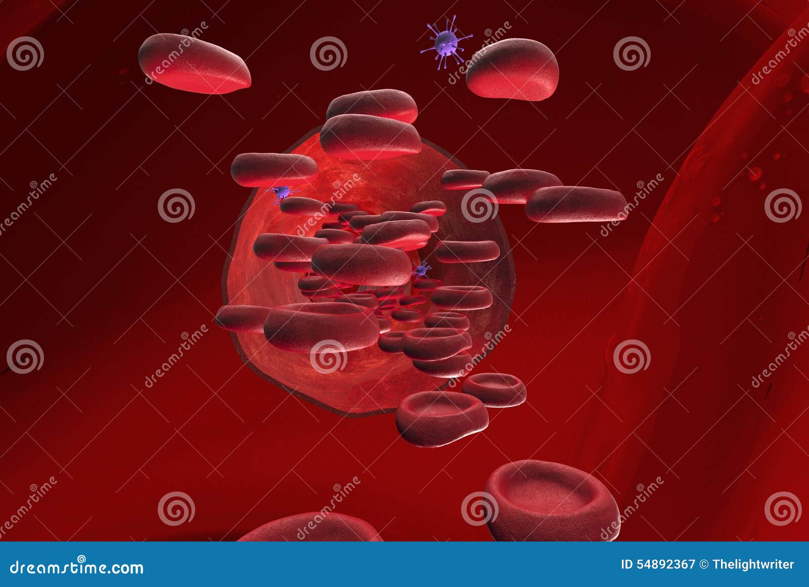 Red Bloodcells Flowing Throw An Artery Stock Image | CartoonDealer.com ...