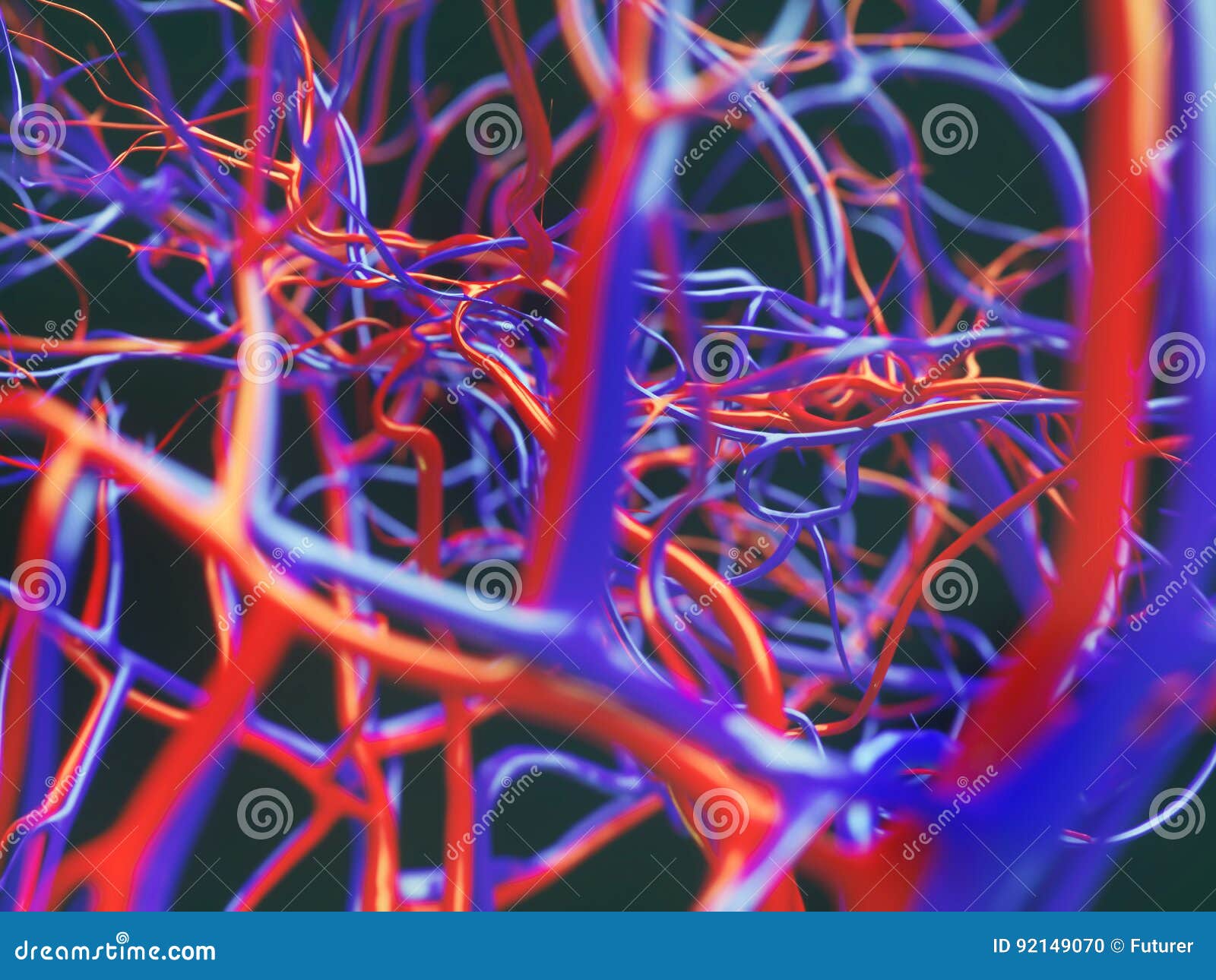 Blood Vessels of a Human - 3D Rendering Stock Illustration ...