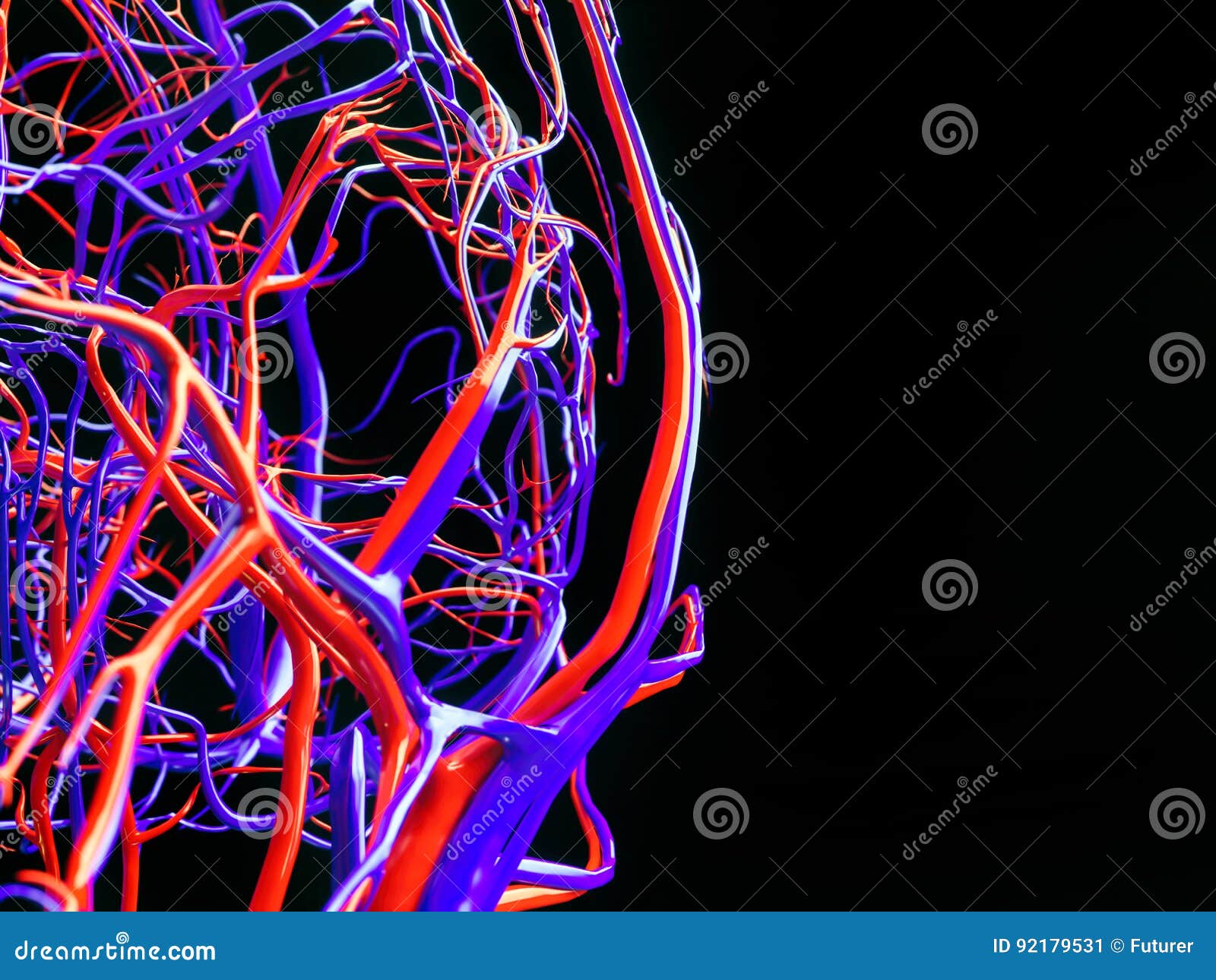 Blood Vessels of a Human - 3D Rendering Stock Illustration ...