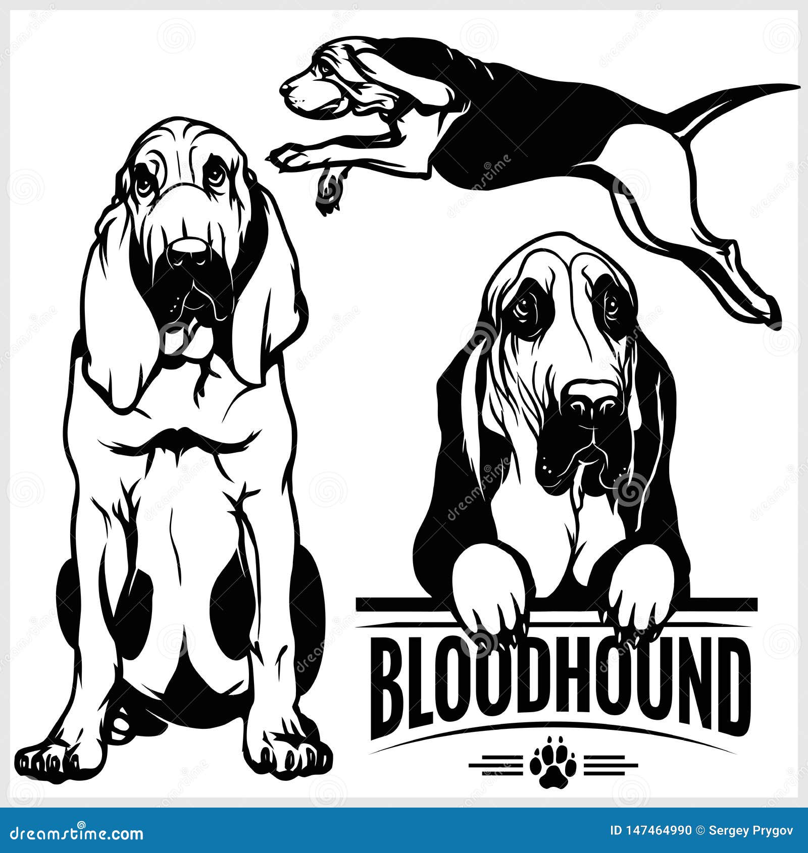 Bloodhound Animal Vector Illustration Hand Drawn Cartoon Art ...