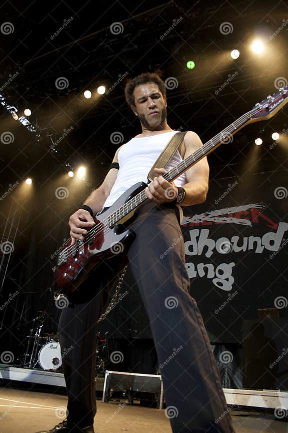 Bloodhound Gang editorial photography. Image of musicians - 10017752