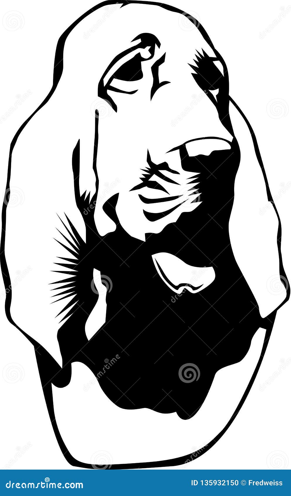 Bloodhound Vector Illustration Stock Vector - Illustration of head ...