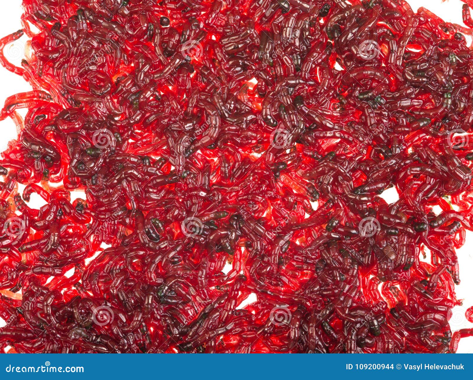 Dry Bloodworm, Mosquito Larva Chironomus Plumosus Also Known As The ...