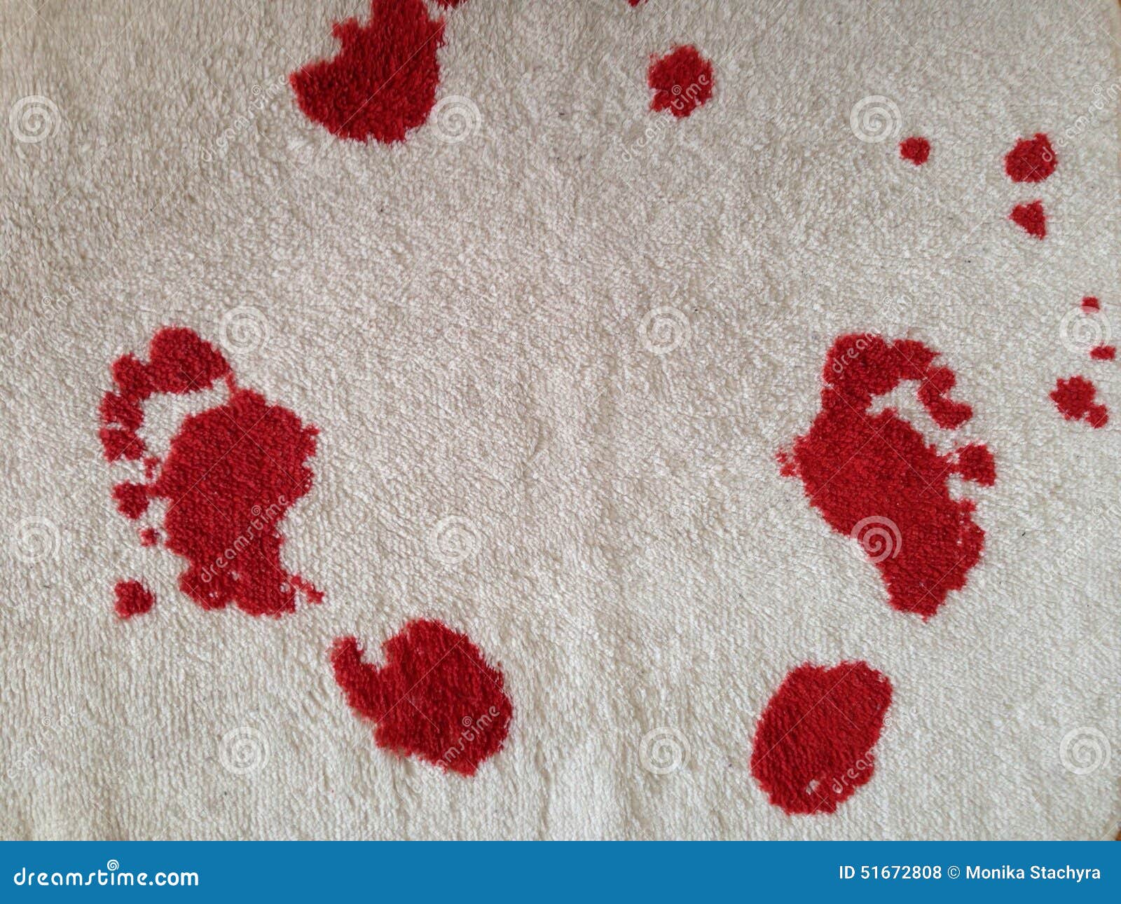 Bloody Snow Footprints