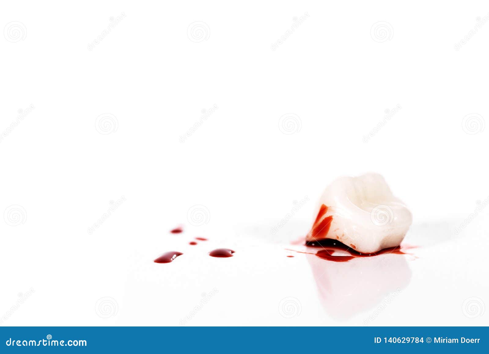 Bloody Tooth in Front of White Background Stock Photo - Image of ...