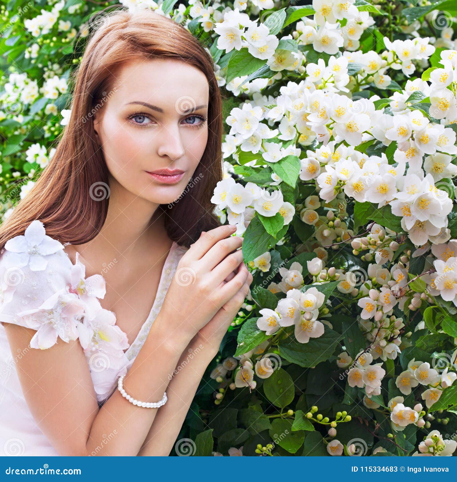 Bloom stock image. Image of cherry, garden, blooming - 115334683