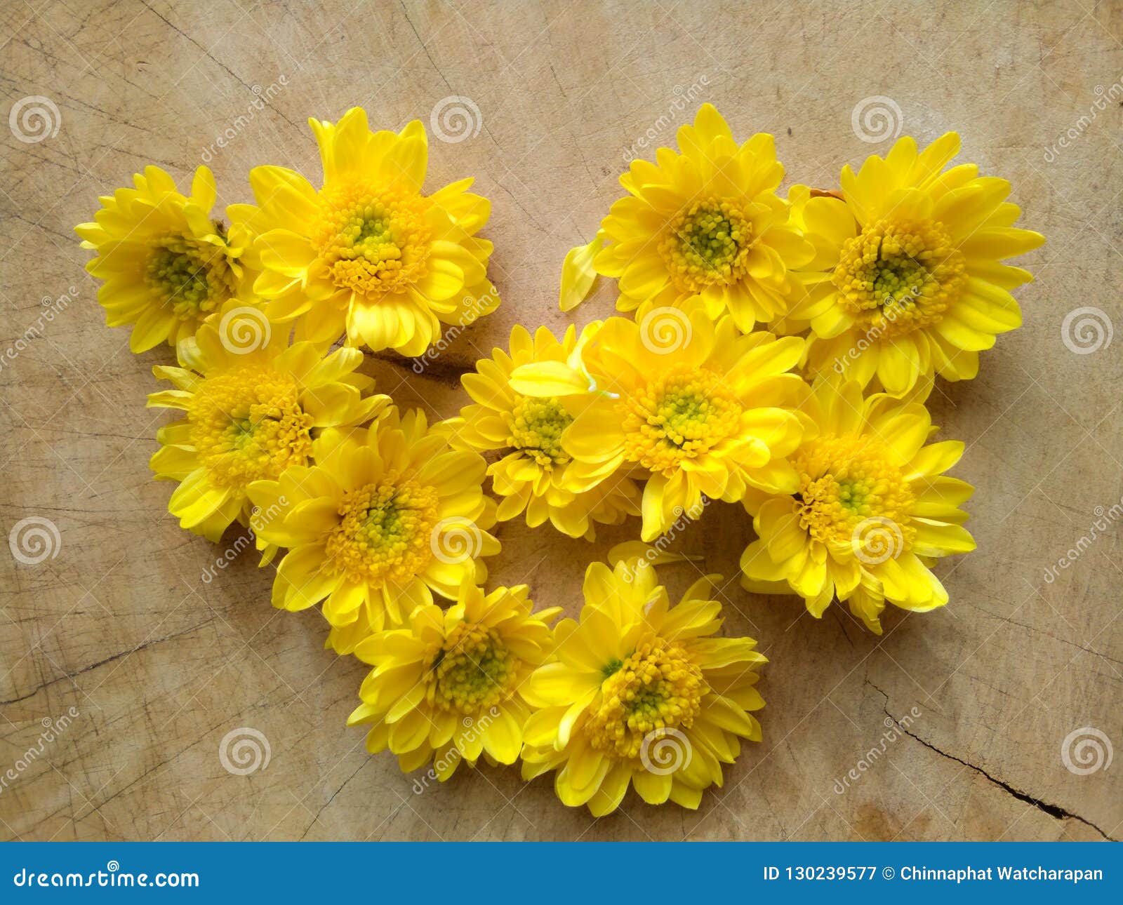 Bloom, blossom, stock image. Image of flower, blossom - 130239577