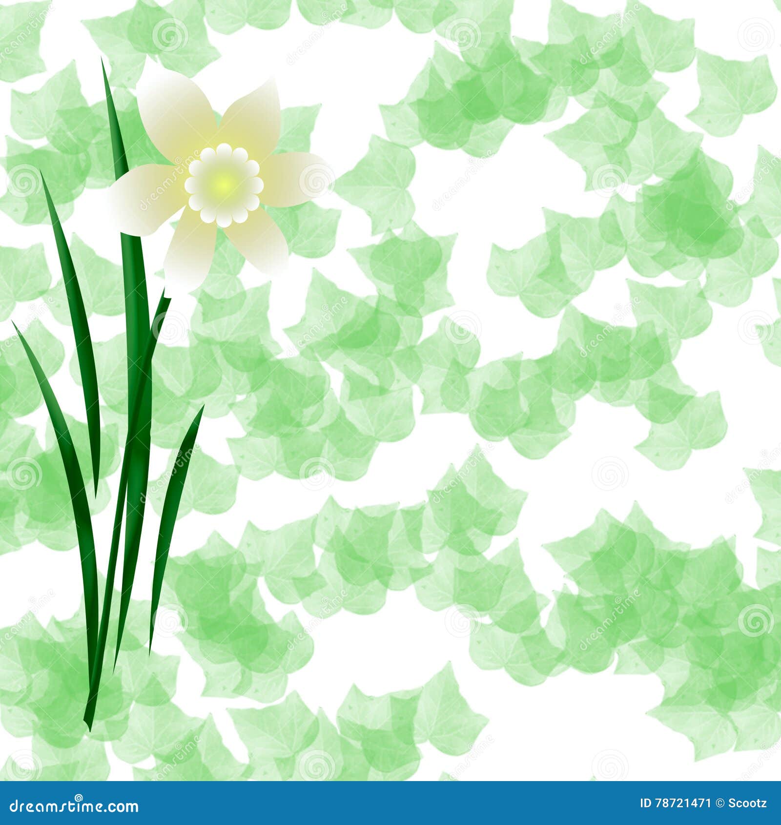 Bloom on ivy stock illustration. Illustration of white - 78721471