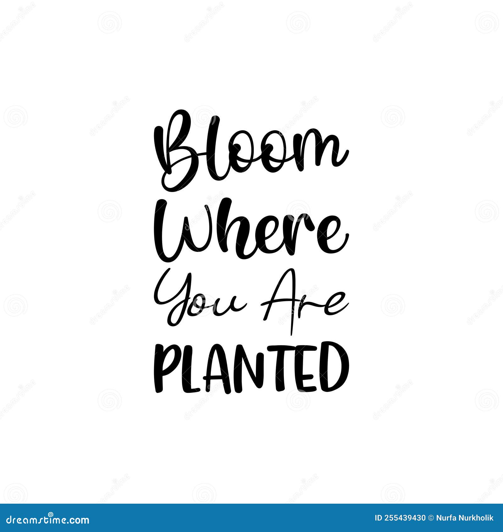 Bloom Where You are Planted Black Letter Quote Stock Vector ... Bloom Where You are Planted Black Letter Quote Stock Vector ...
