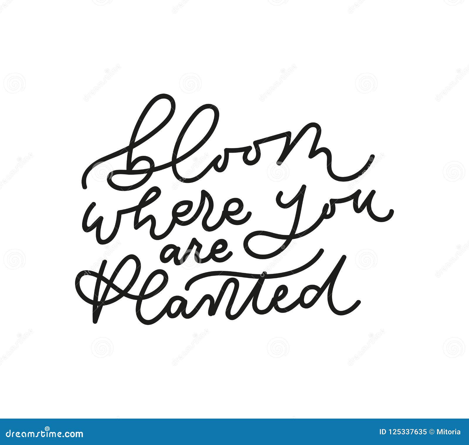 Bloom Where You are Planted Inspirarional Lettering Inscription Stock ... Bloom Where You are Planted Inspirarional Lettering Inscription Stock ...