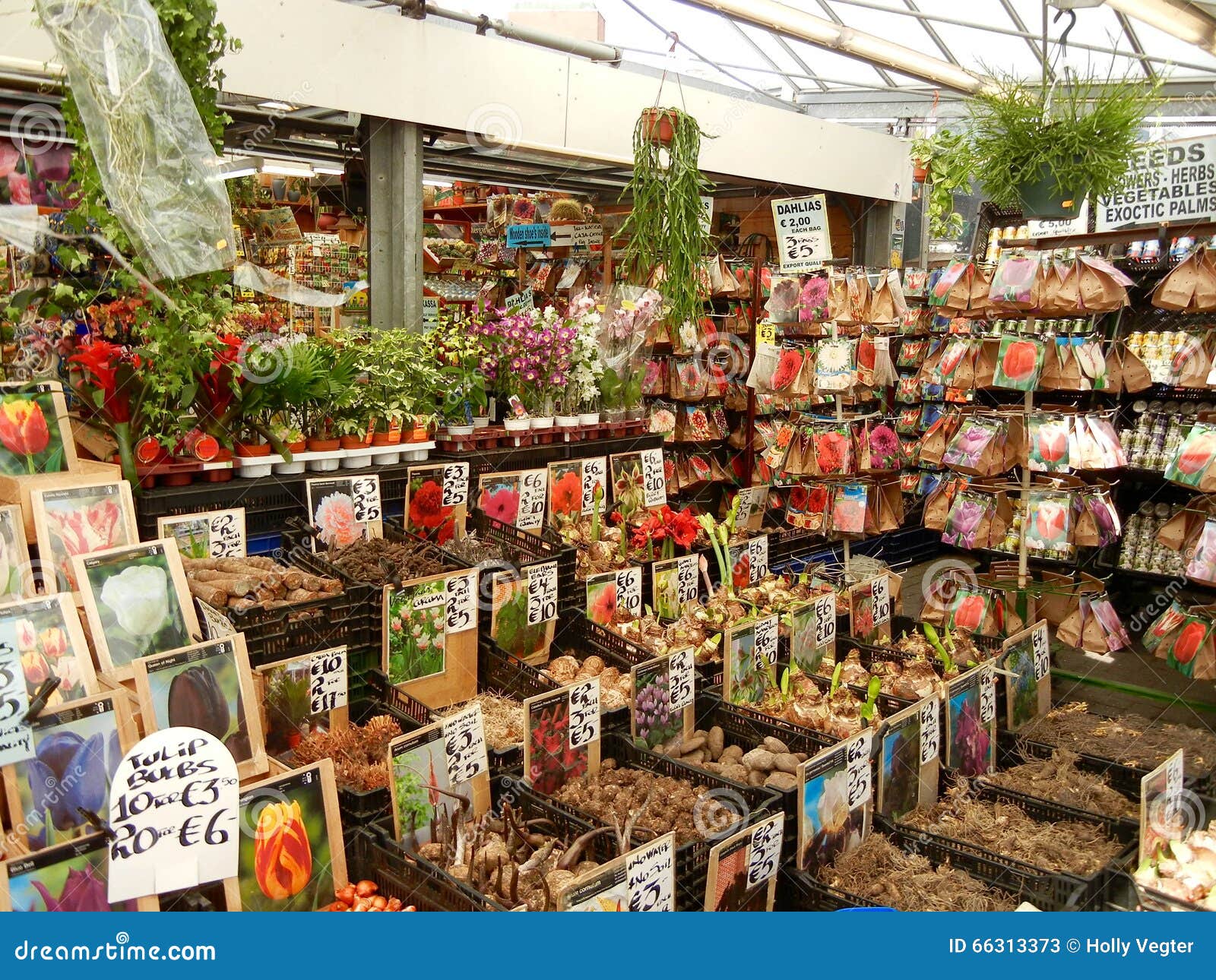Bloomenmarkt editorial stock photo. Image of shop, flourist - 66313373