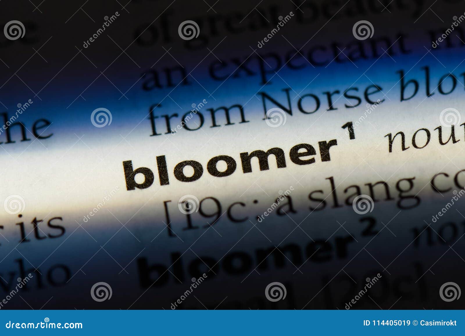 Bloomer stock image. Image of paper, text, concept, english - 114405019