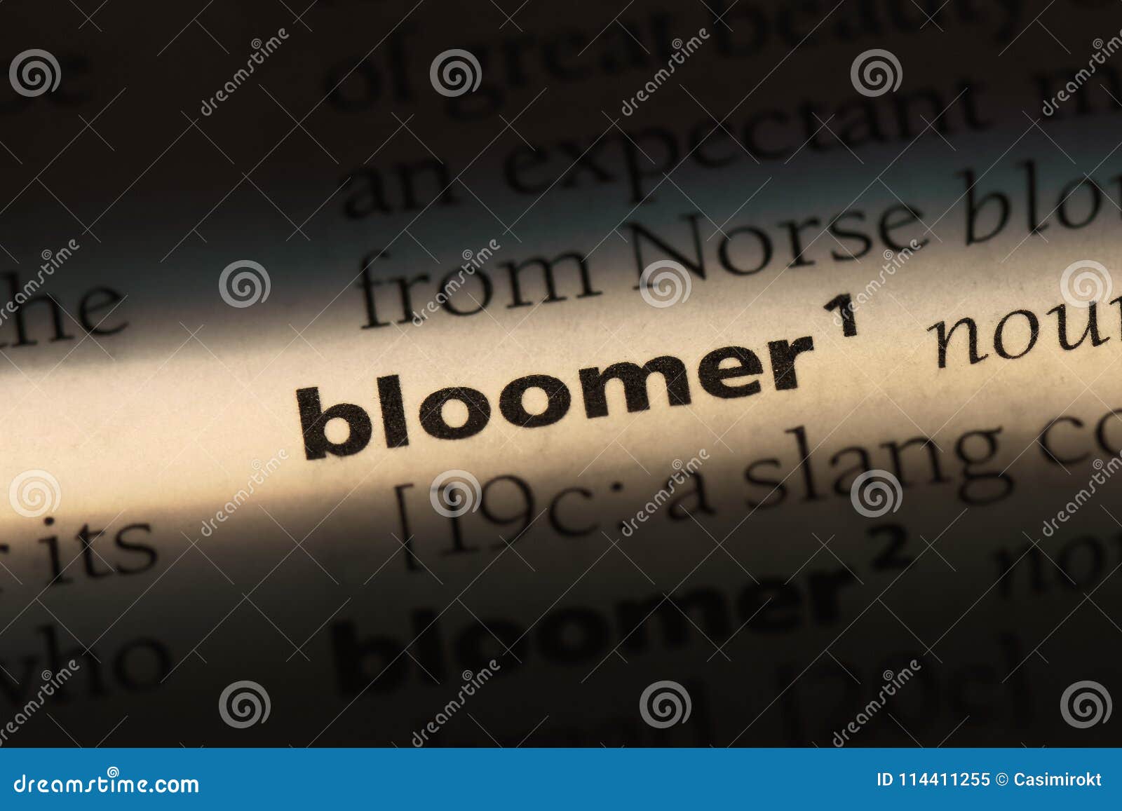 Bloomer stock image. Image of isolated, definition, word - 114411255