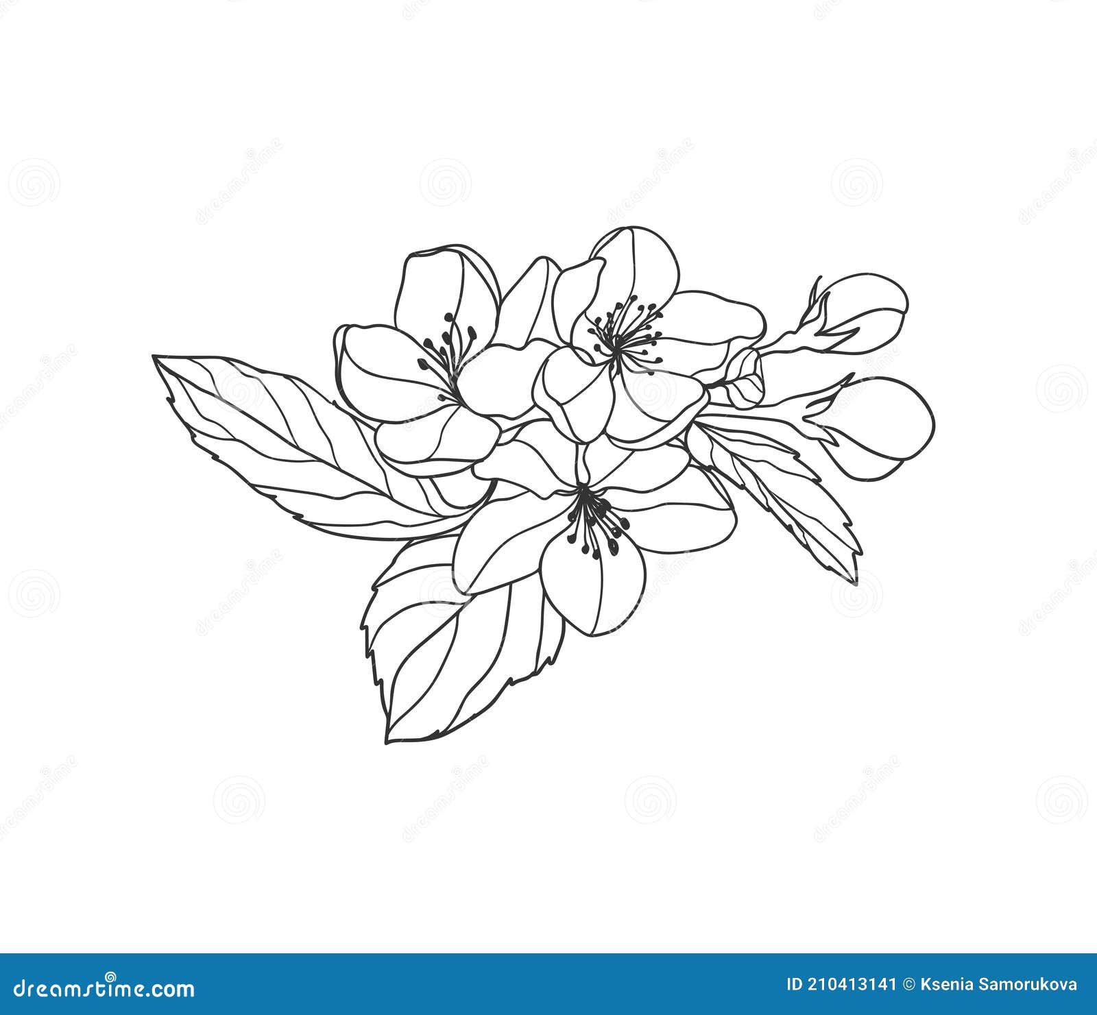 Blooming Apple Tree Branch Linear Illustration Stock Vector ...