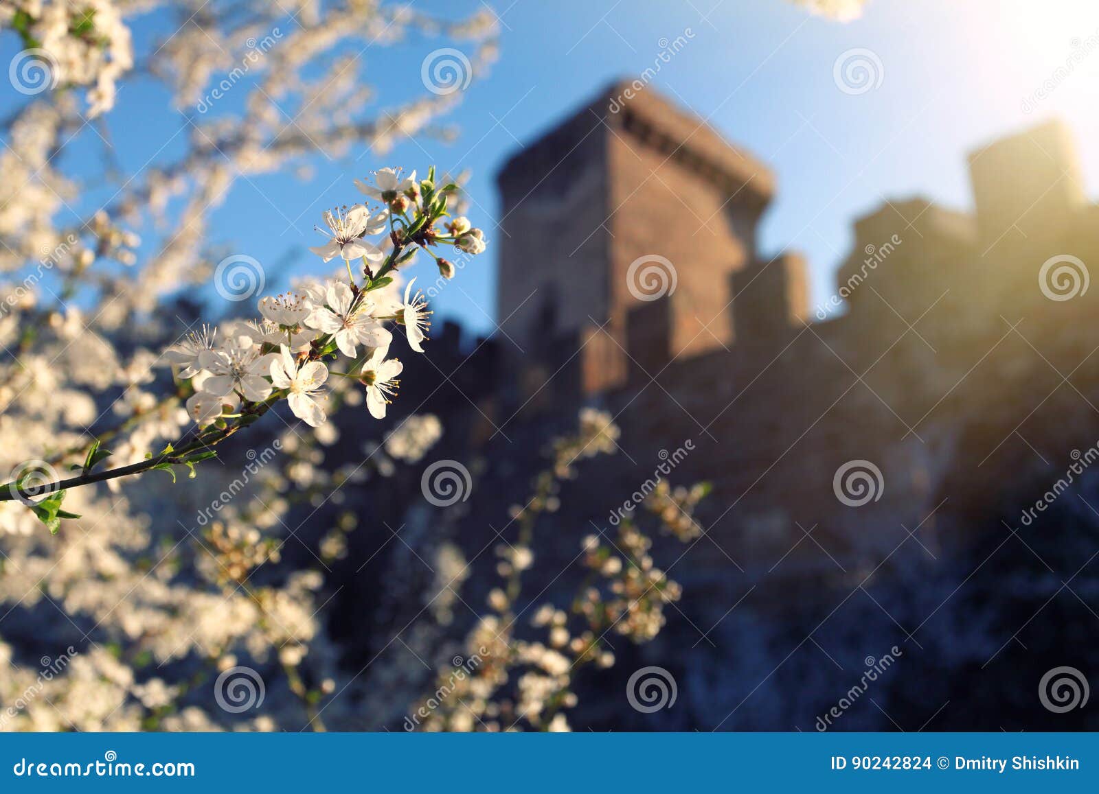 Blooming Apple Tree Spring Castle Background Stock Photos - Free ...