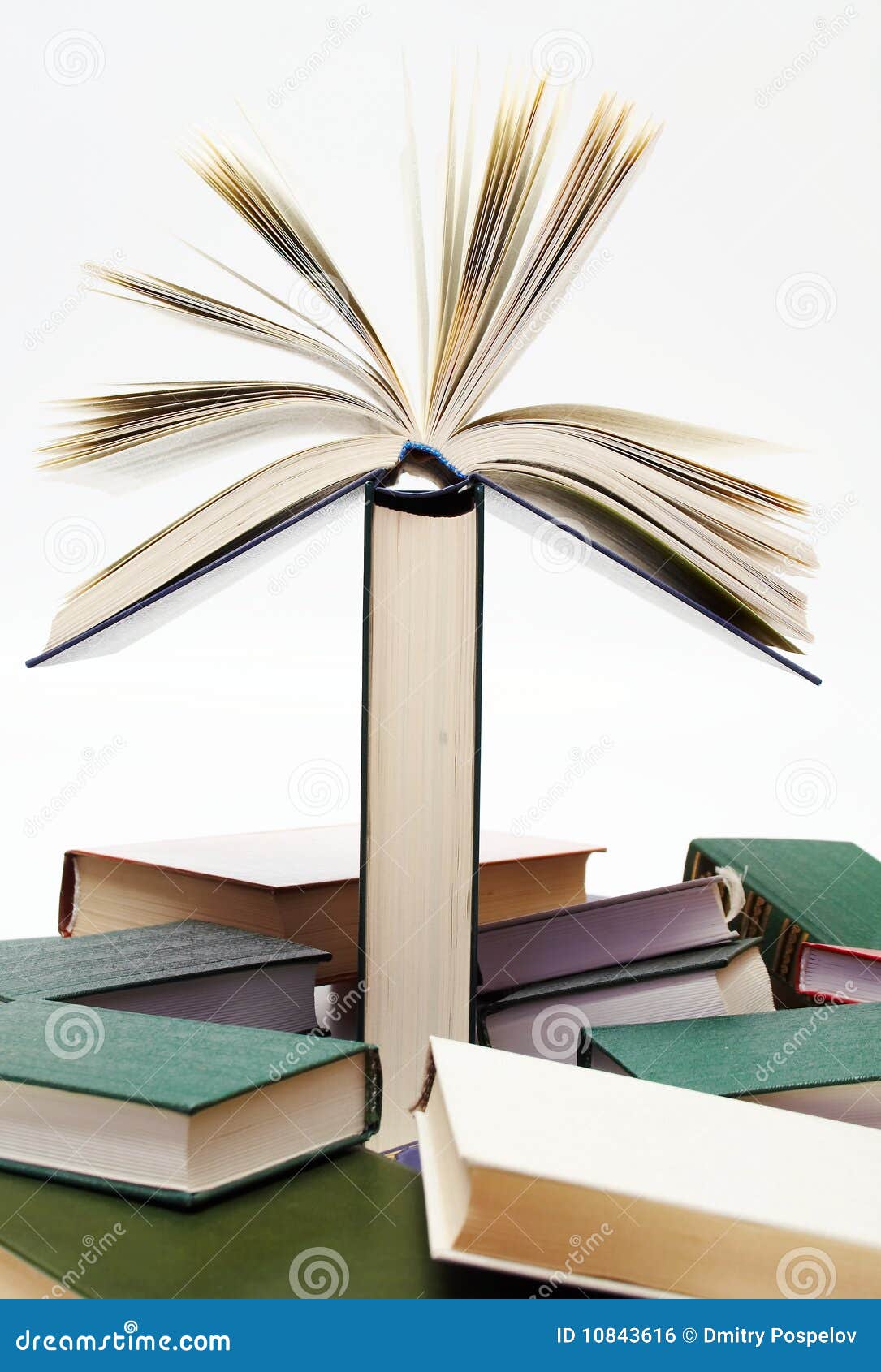 Blooming book stock photo. Image of plant, heap, education - 10843616