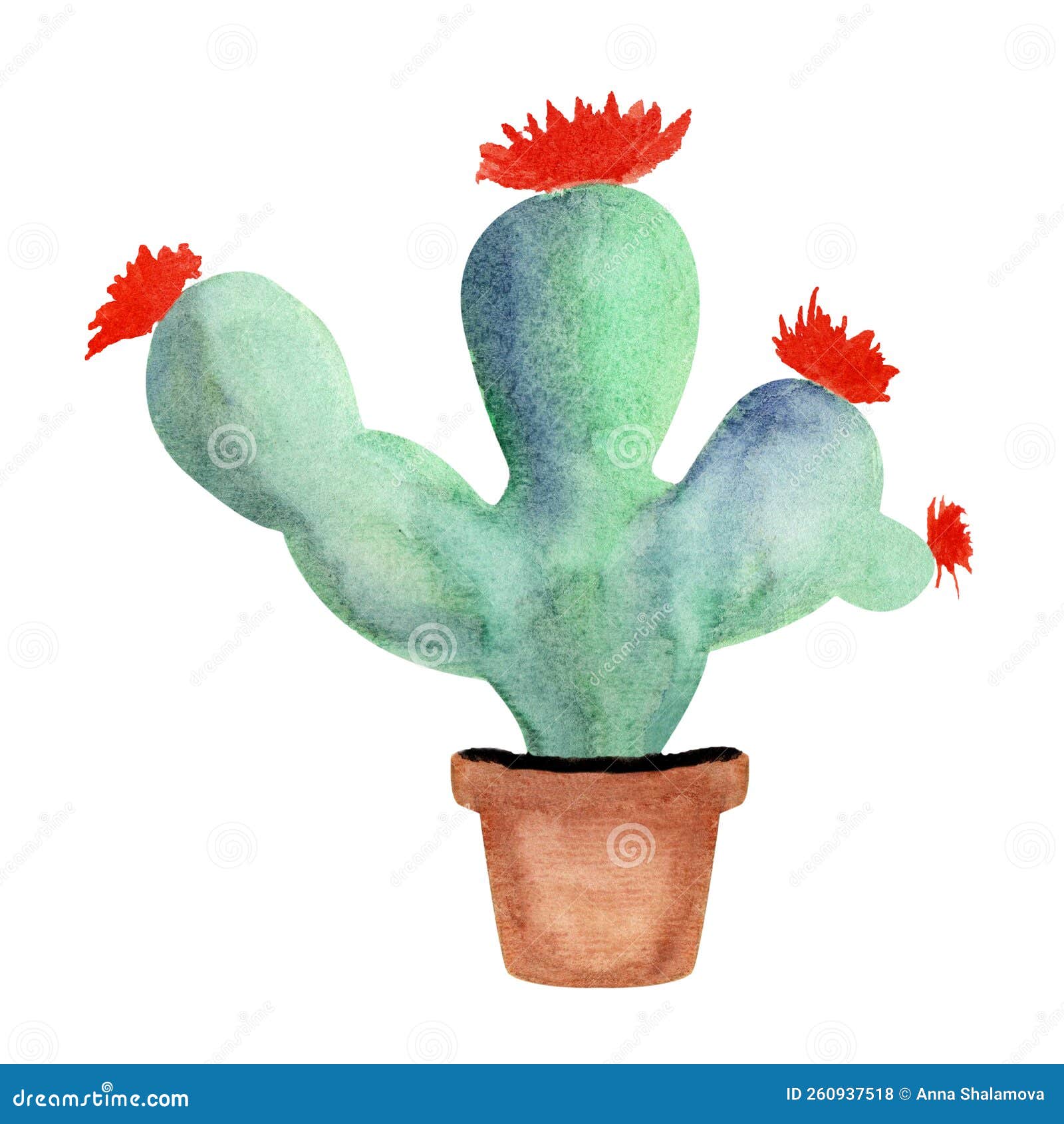 Blooming Cactus Watercolor. Isolated Objects Stock Illustration ...