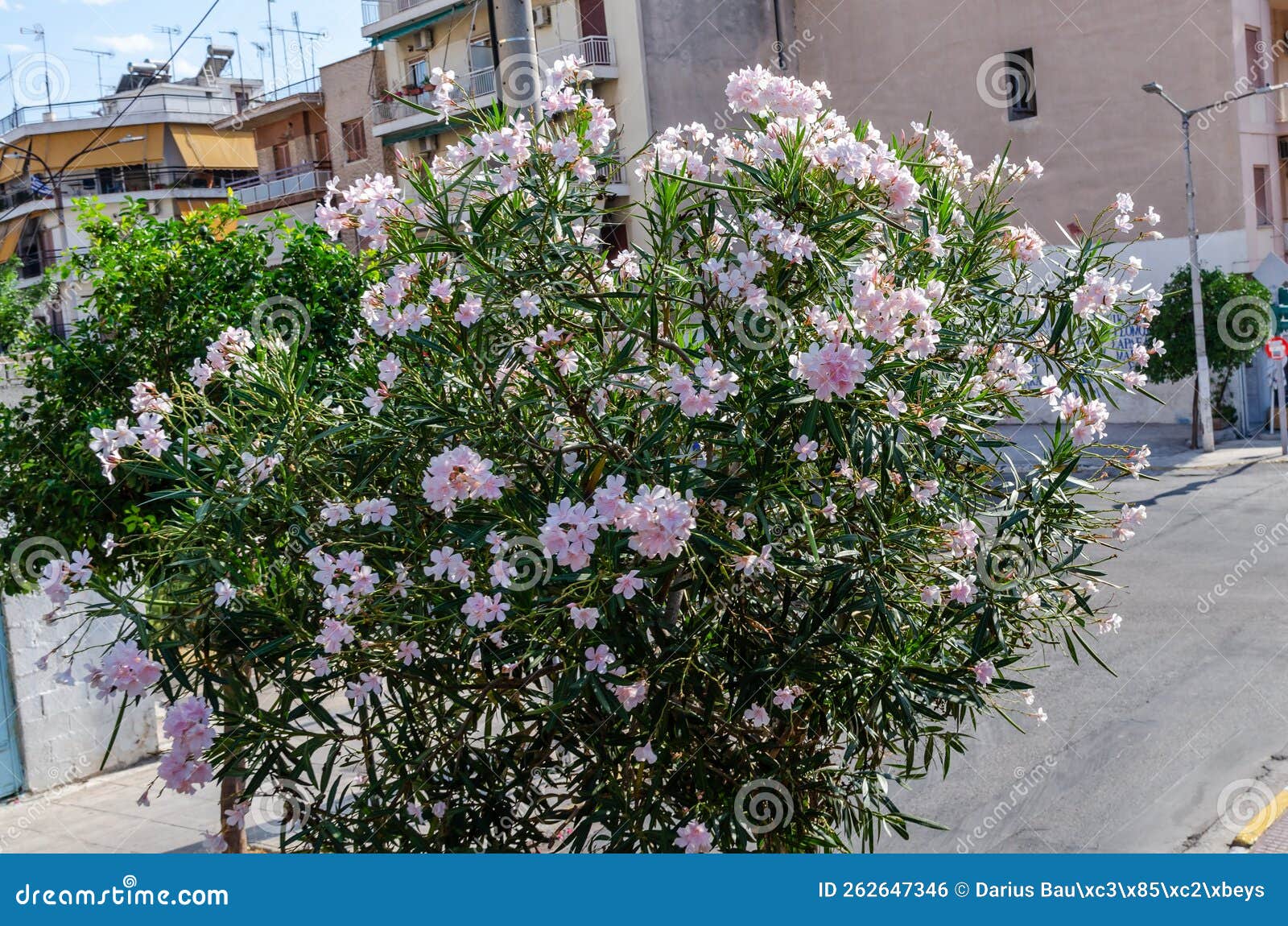 Kenyeri Stock Photos - Free & Royalty-Free Stock Photos from Dreamstime