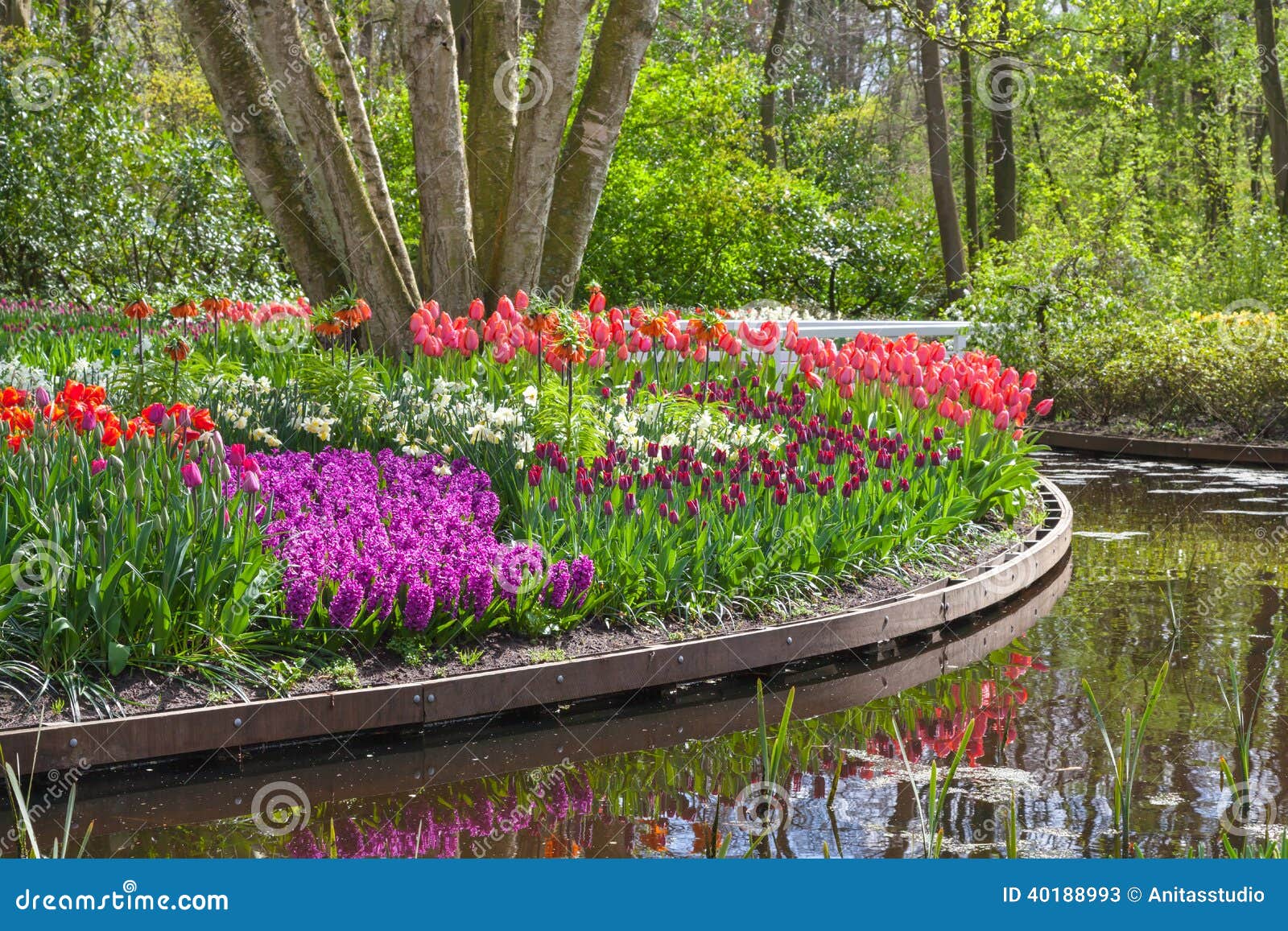 Blooming Flowers in a Park with a Pond Stock Image - Image of nature ...