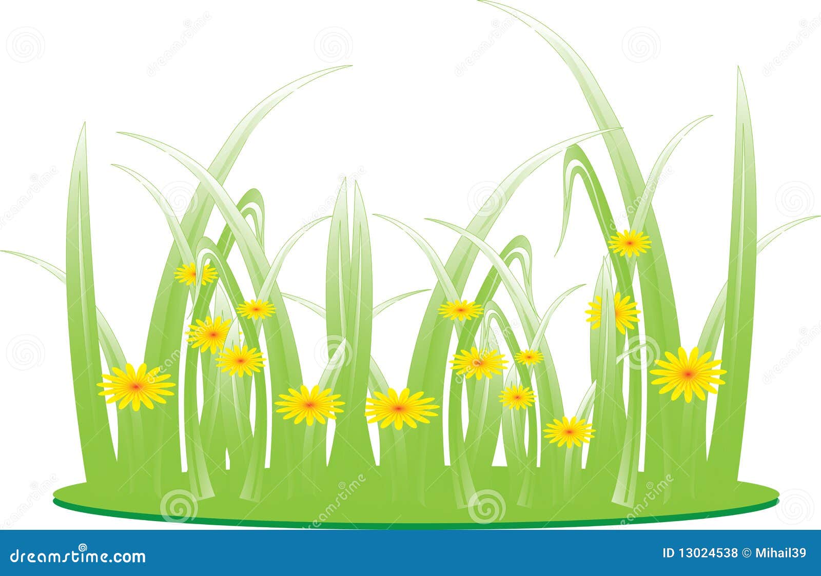 Blooming Meadow Grass, Green Grass Stock Vector - Illustration of field ...