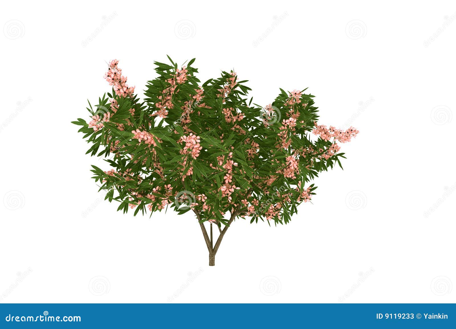 Royalty Free Images, Cartoons, Illustrations And Photos Designed By ...