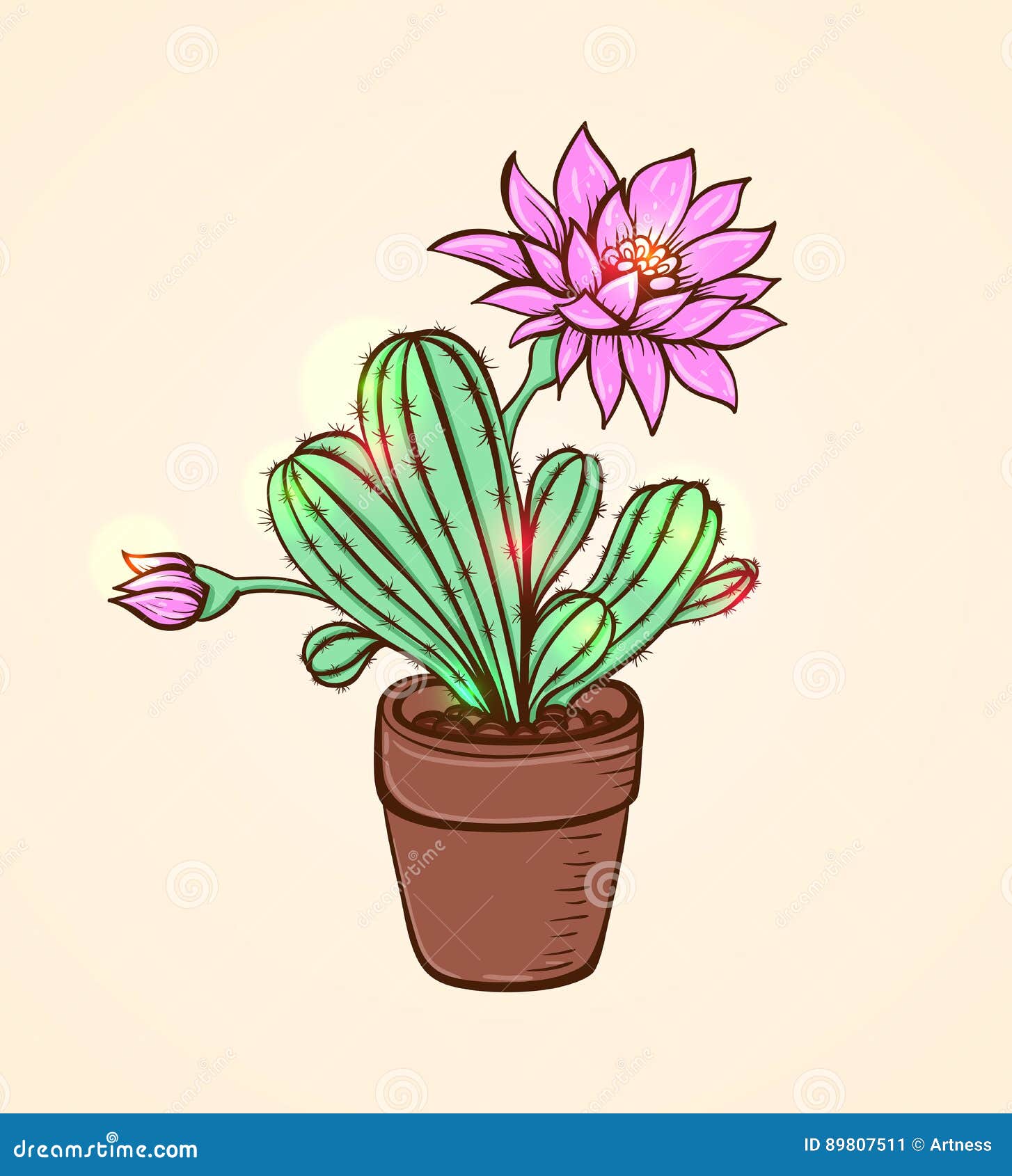 Blooming pink cactus stock vector. Illustration of cactus - 89807511