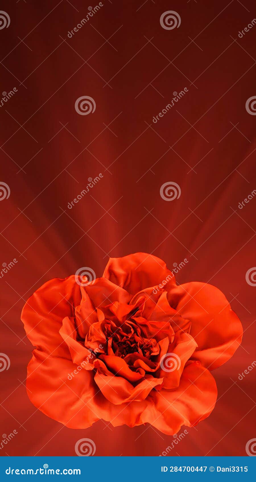 Blooming Red Flower on Gradient Background with Glowing Rays Stock ...