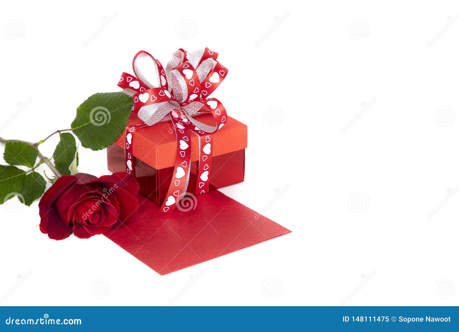 Blooming Red Rose and Red Present Box Stock Image - Image of blooming ...