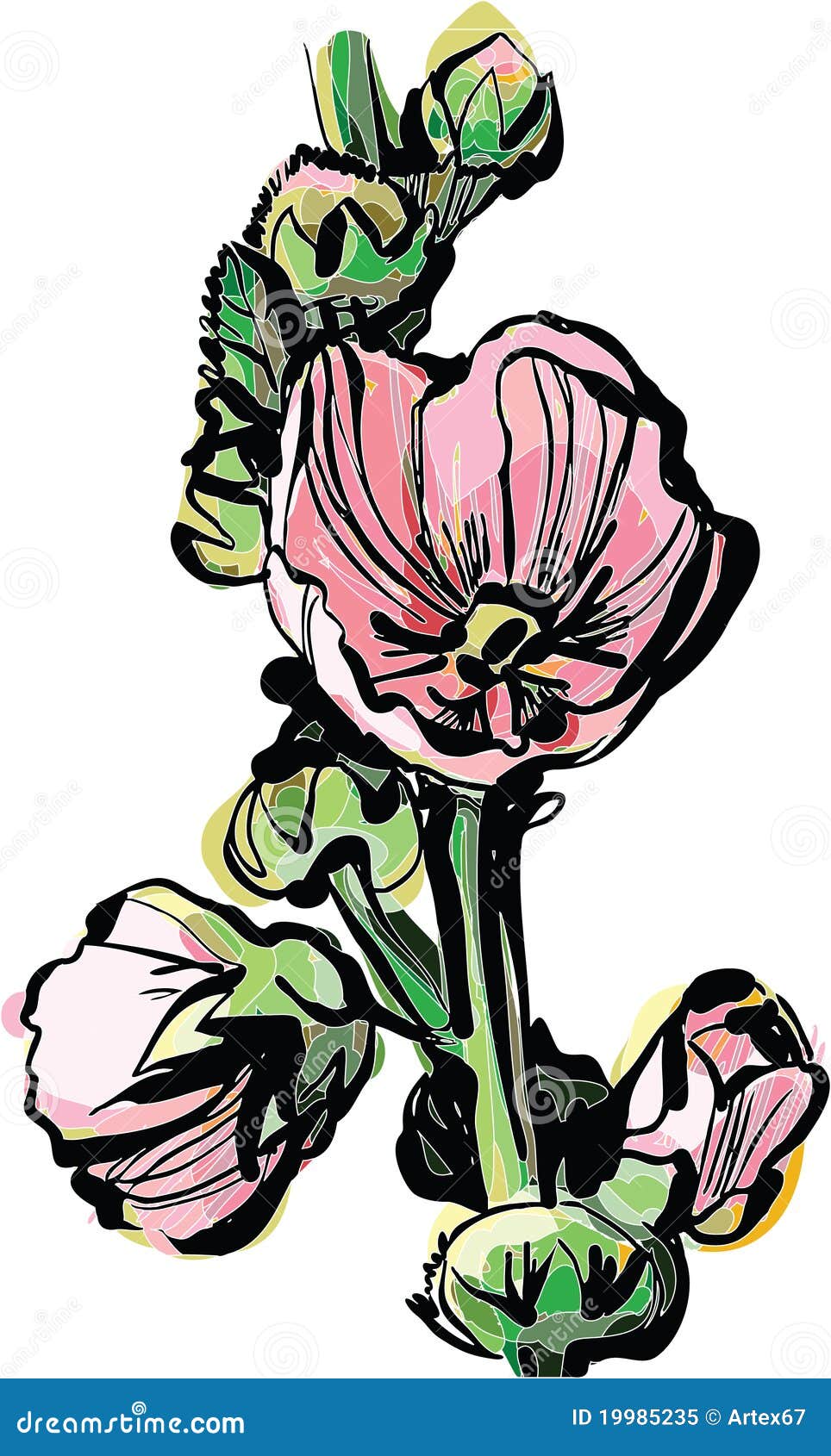 Blooming Rose Mallow Branch Stock Vector - Illustration of black ...