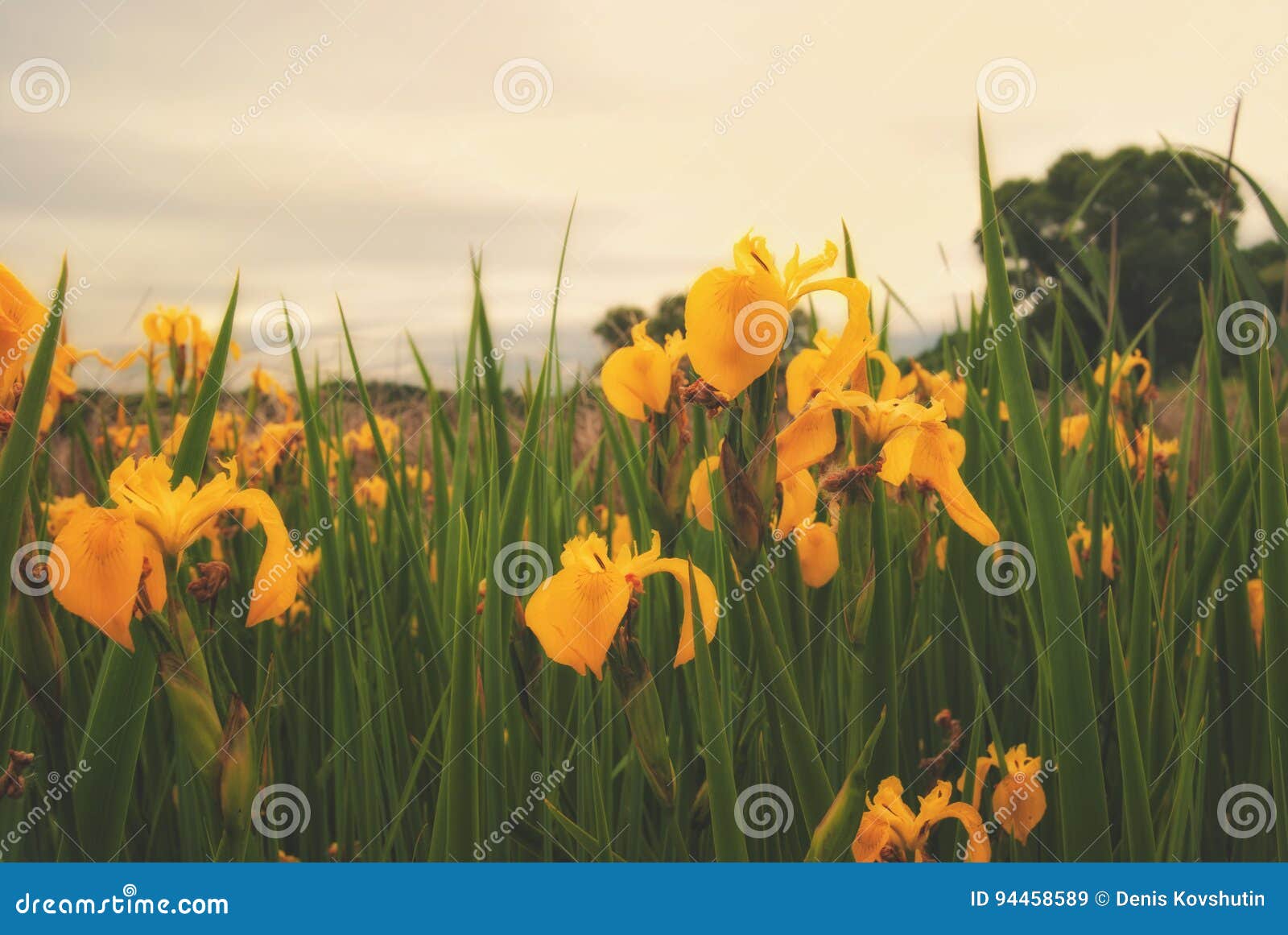 Airoid Stock Photos - Free & Royalty-Free Stock Photos from Dreamstime