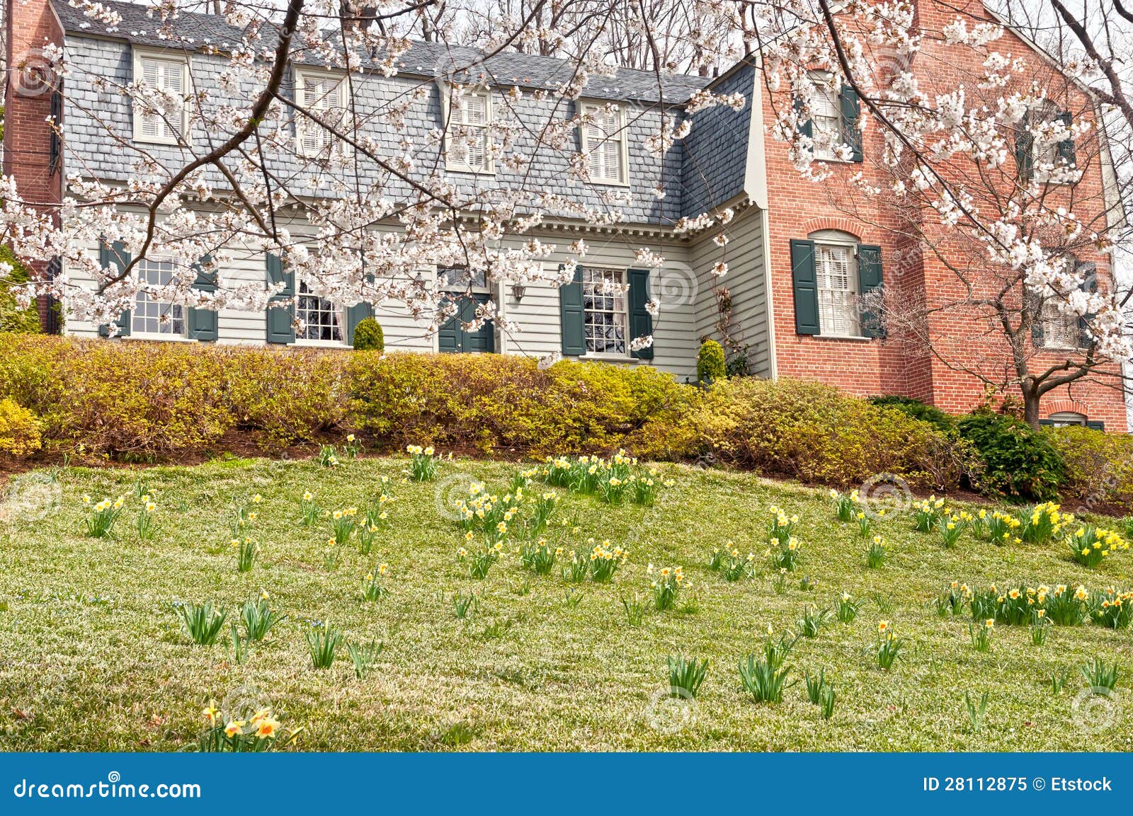 Blooming Spring at Family House Front Lawn Stock Image - Image of ...
