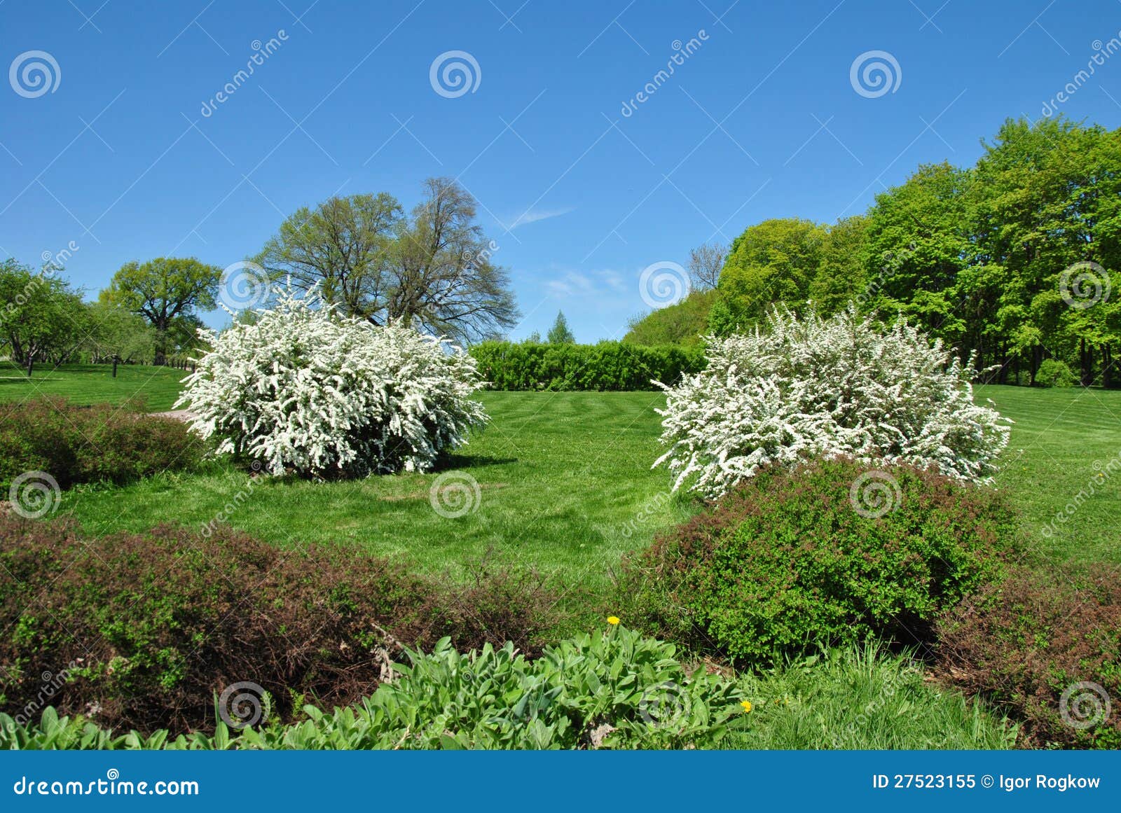 Blooming spring garden stock image. Image of trees, spring - 27523155