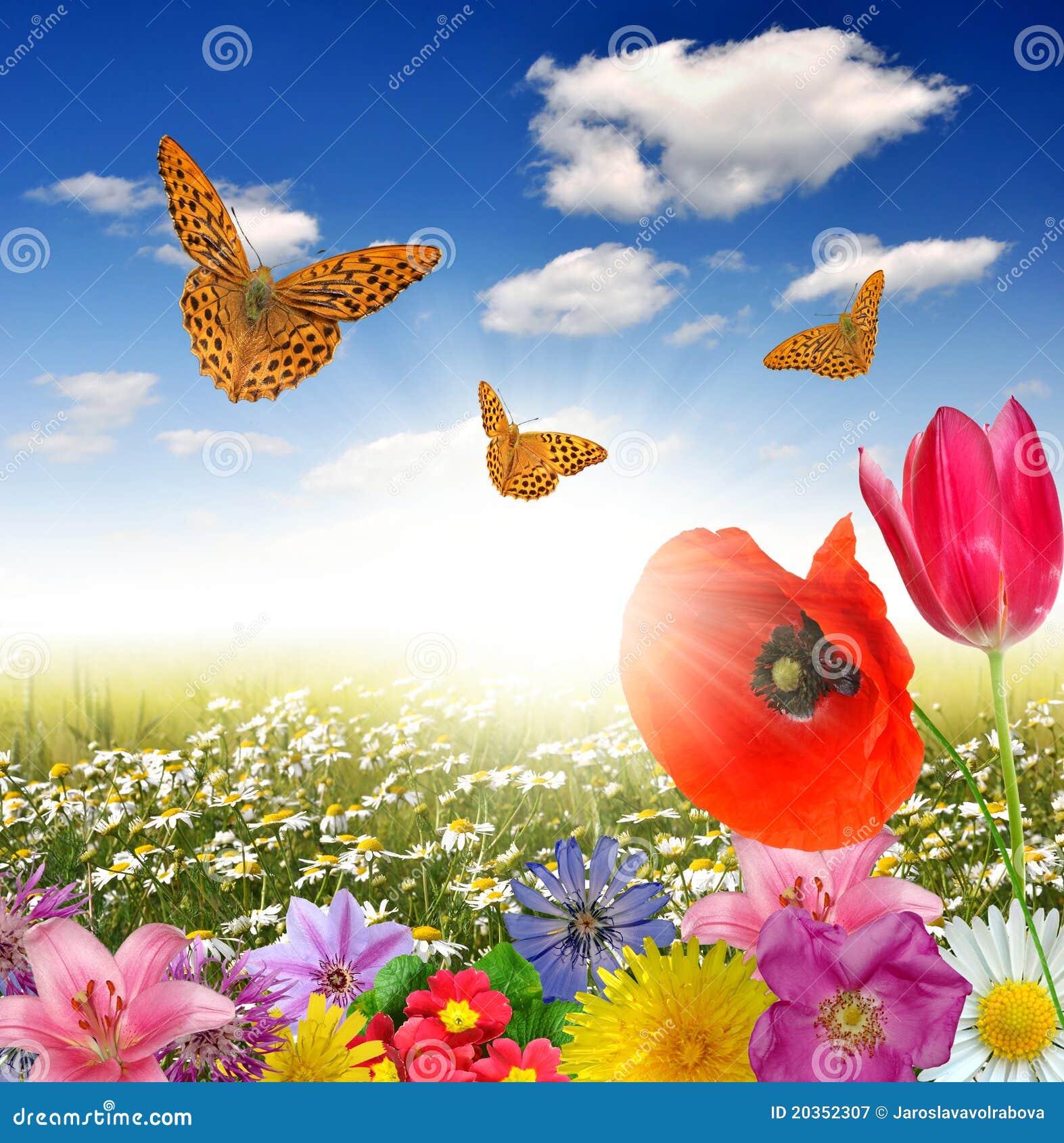 Blooming spring landscape stock image. Image of inflorescent - 20352307