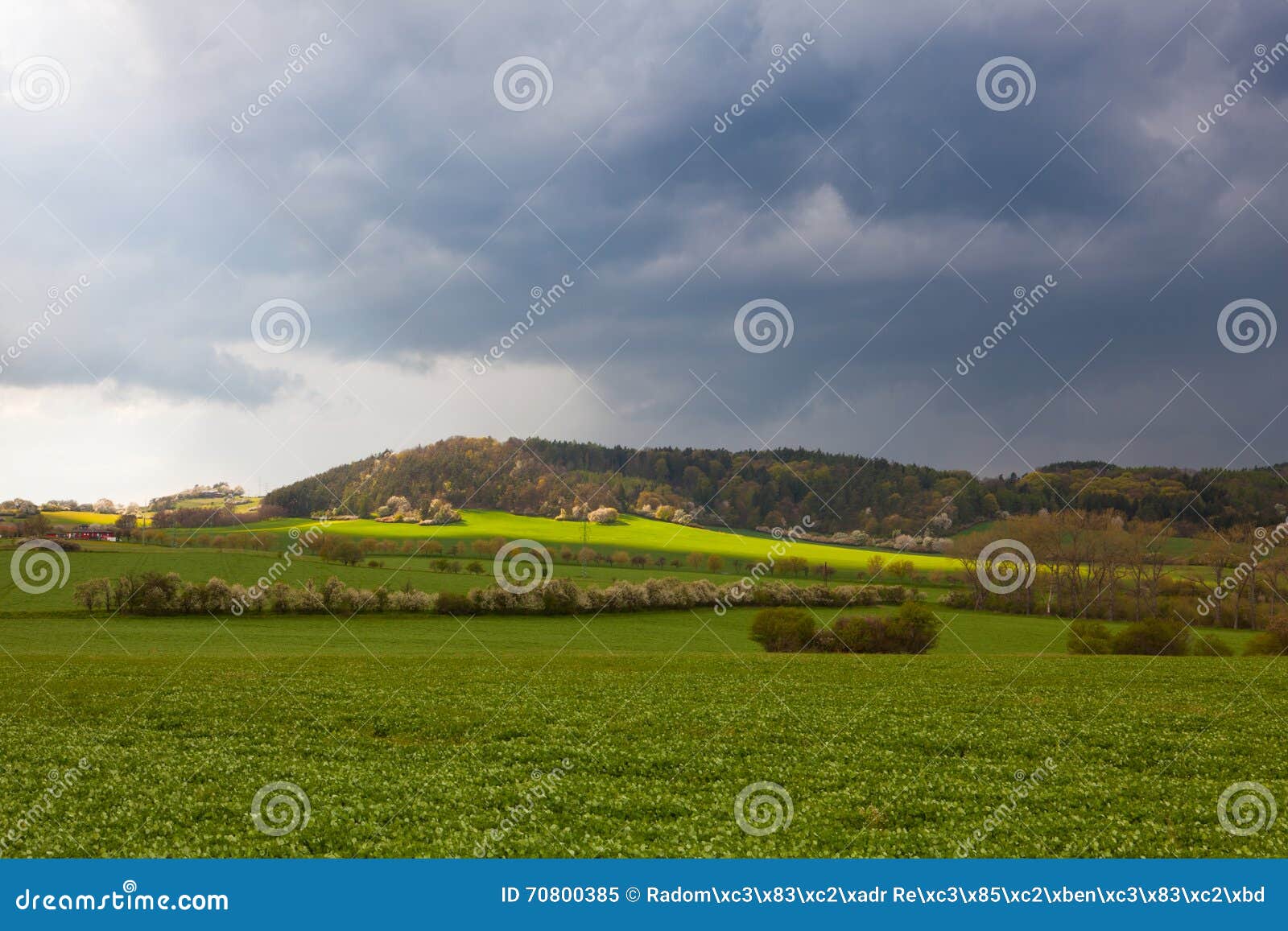 Blooming Spring Landscape before Storm Stock Image - Image of meadow ...