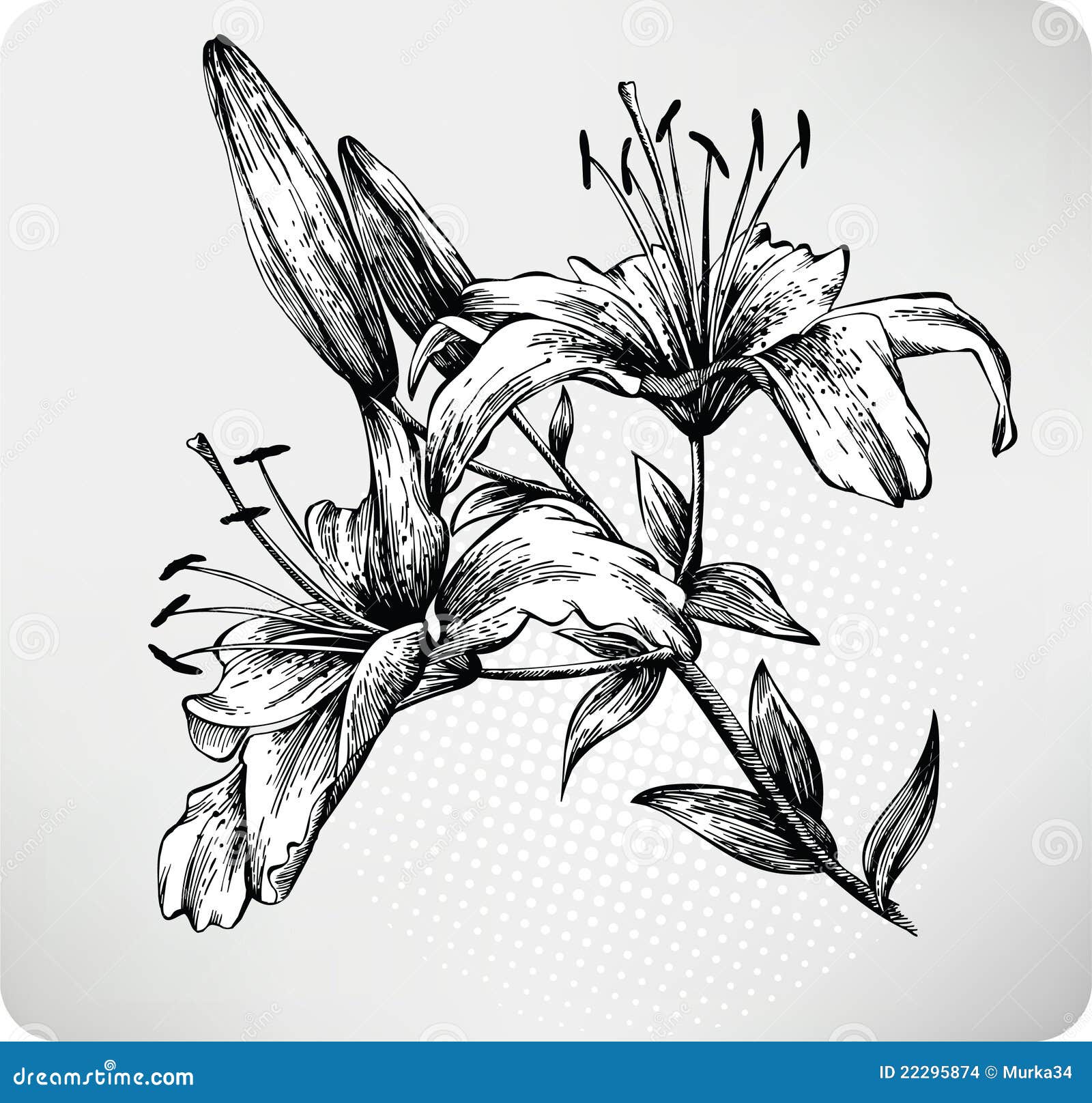 Lily Cartoons, Illustrations & Vector Stock Images - 178895 Pictures to ...