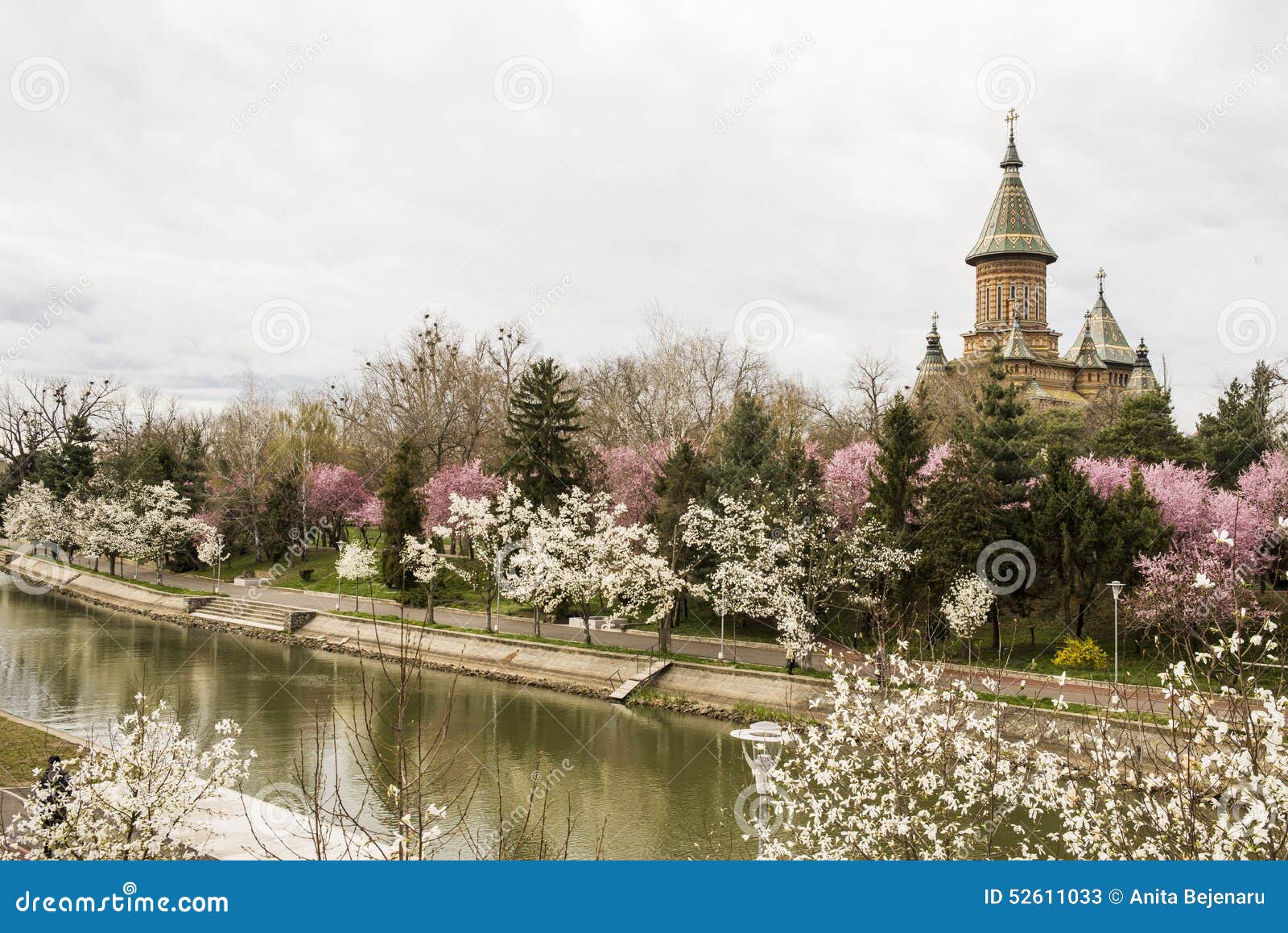 Blooming trees editorial stock photo. Image of canal - 52611033