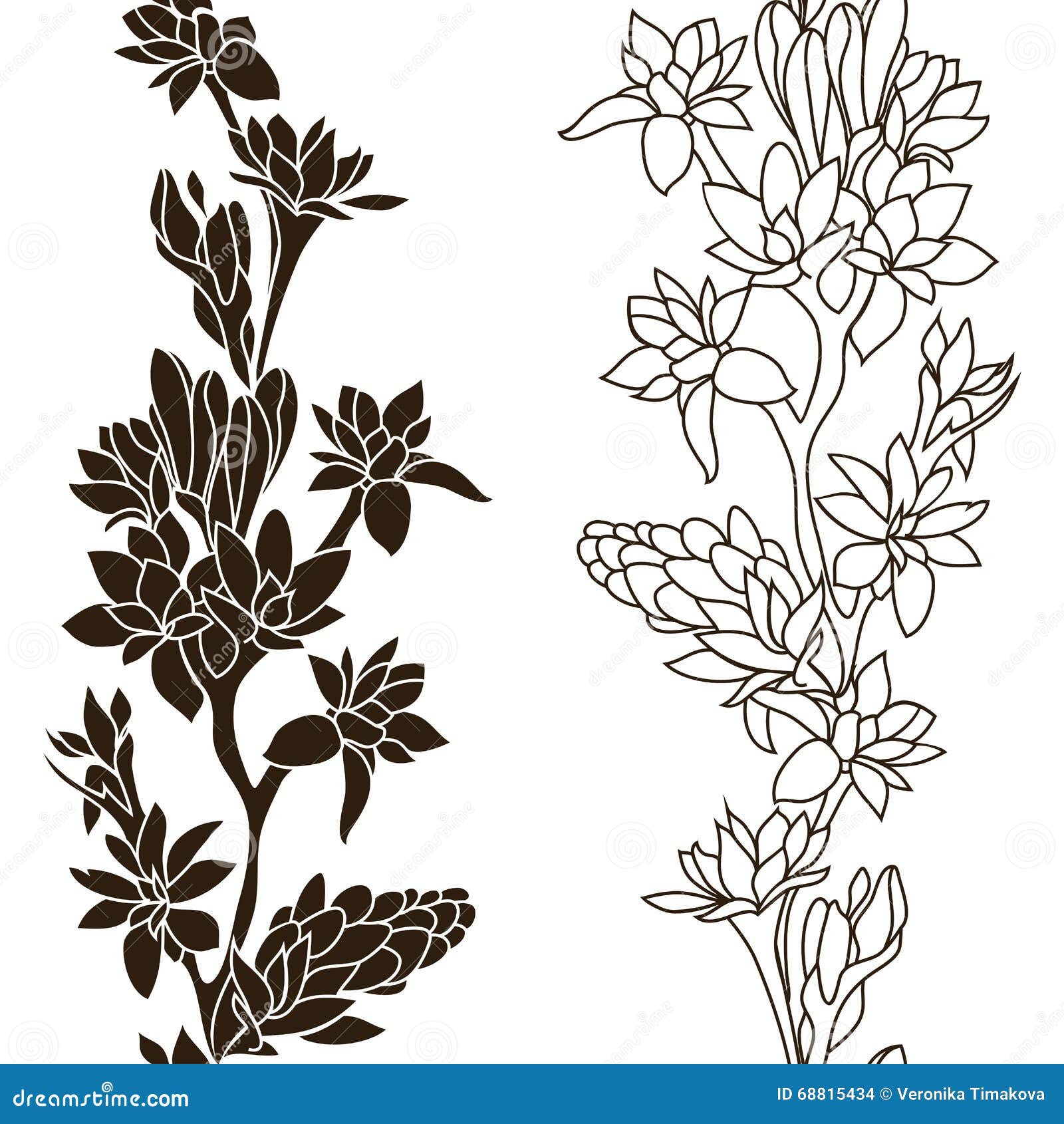 Blooming Tuberose stock vector. Illustration of flowery - 68815434