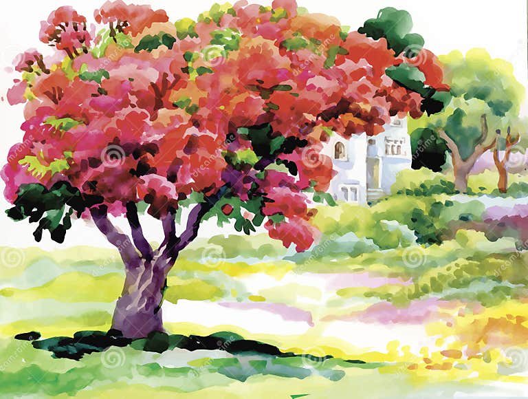 Blooming Watercolor Spring Tree in Garden Vector Illustration Stock ...