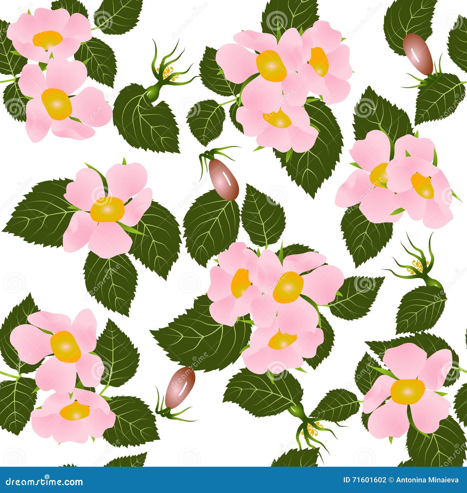 Blooming wild rose pattern stock vector. Illustration of blossom - 71601602