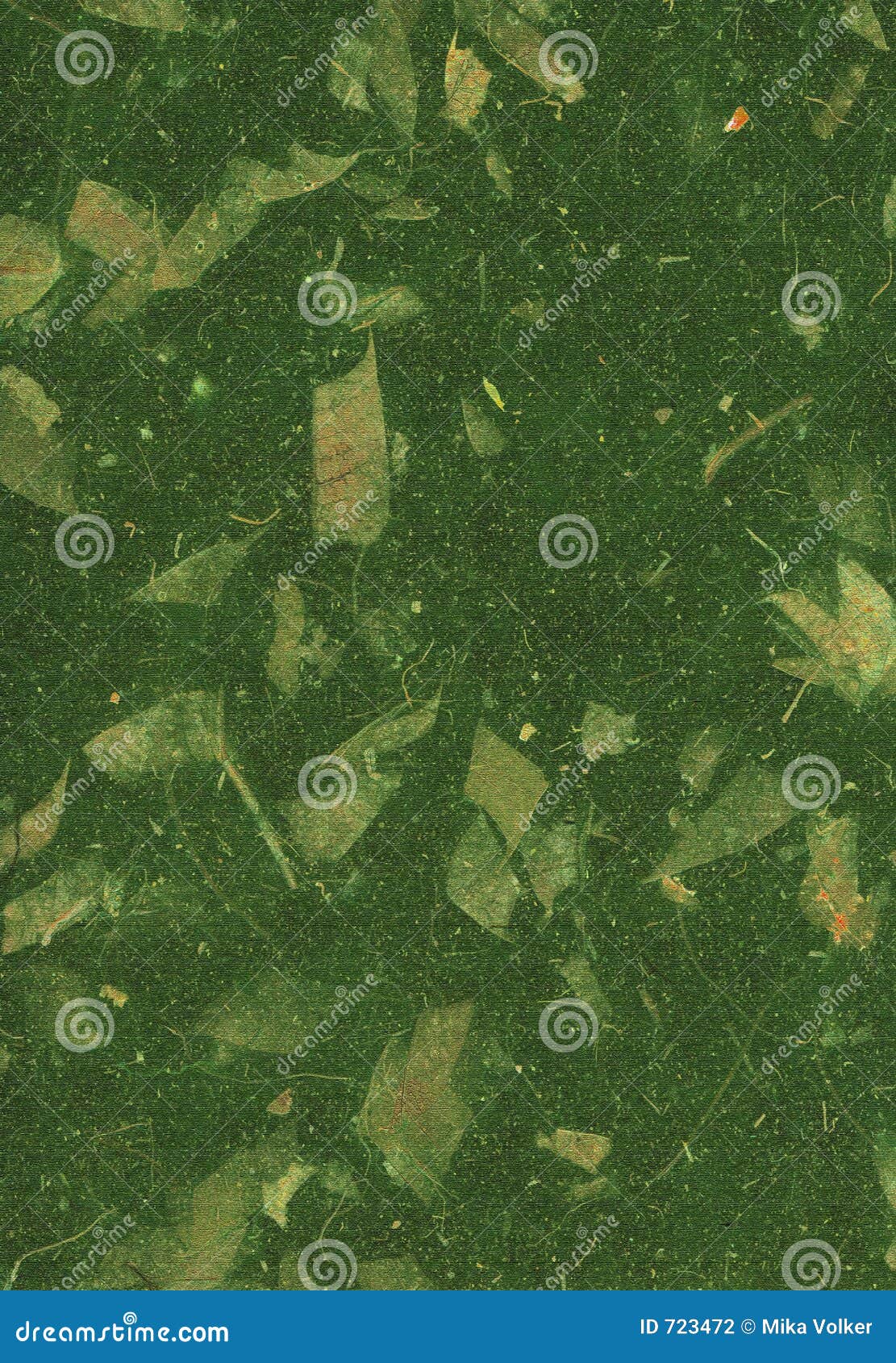 Blooms Design, Paper, Texture, Abstract, Stock Photo - Image of green ...