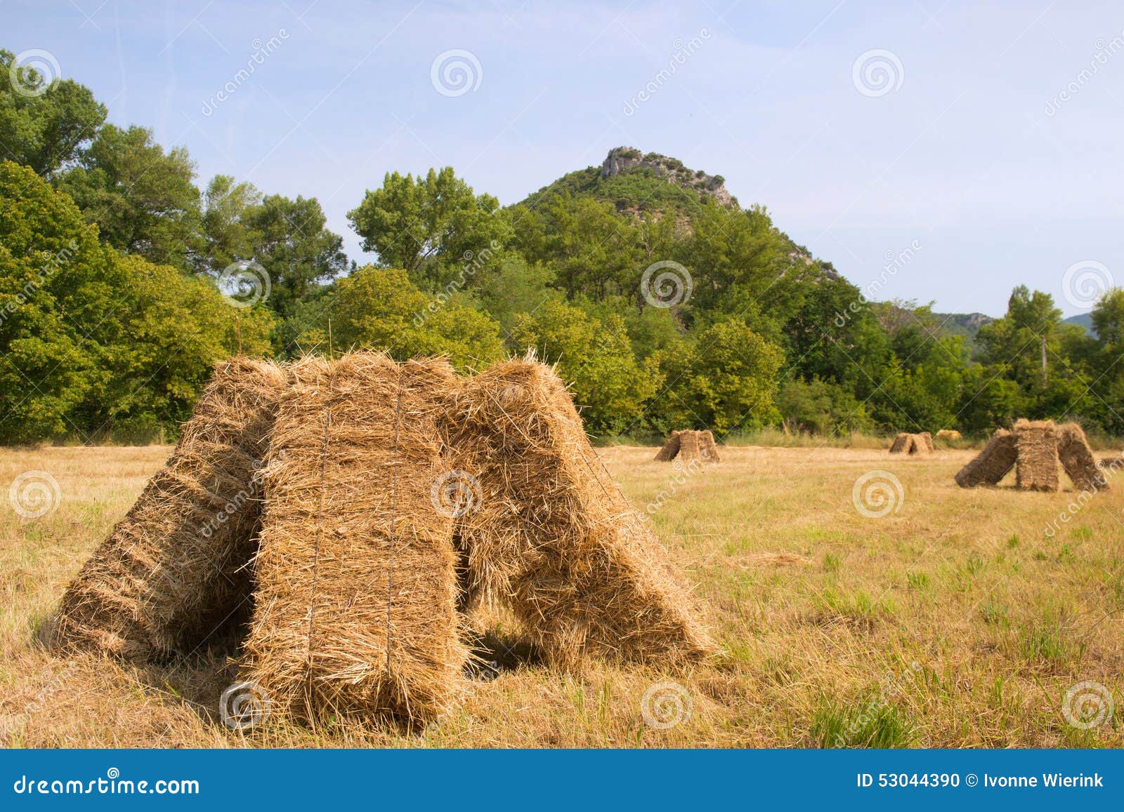 Bloques Con El Heno En Los Campos Foto de archivo - Imagen de flora ...