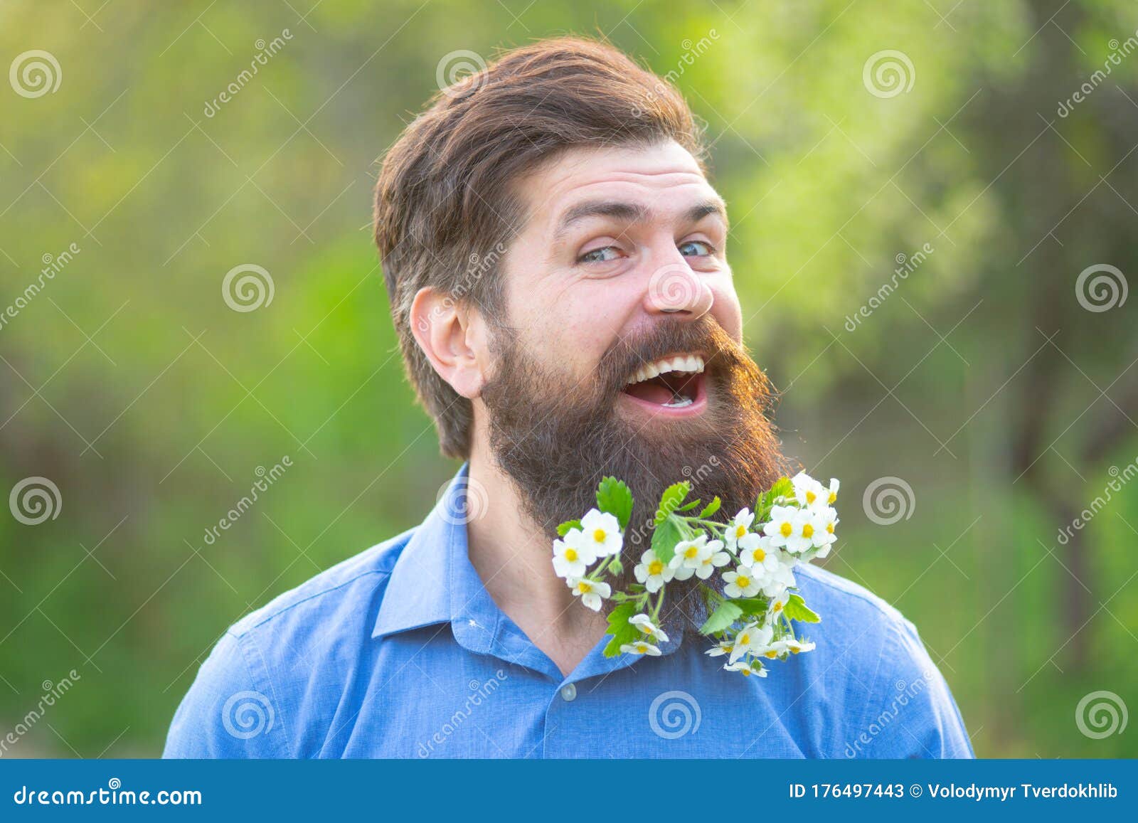 Blossom Beard. Bearded Man with Spring Flowers in Beard. Stock Image ...