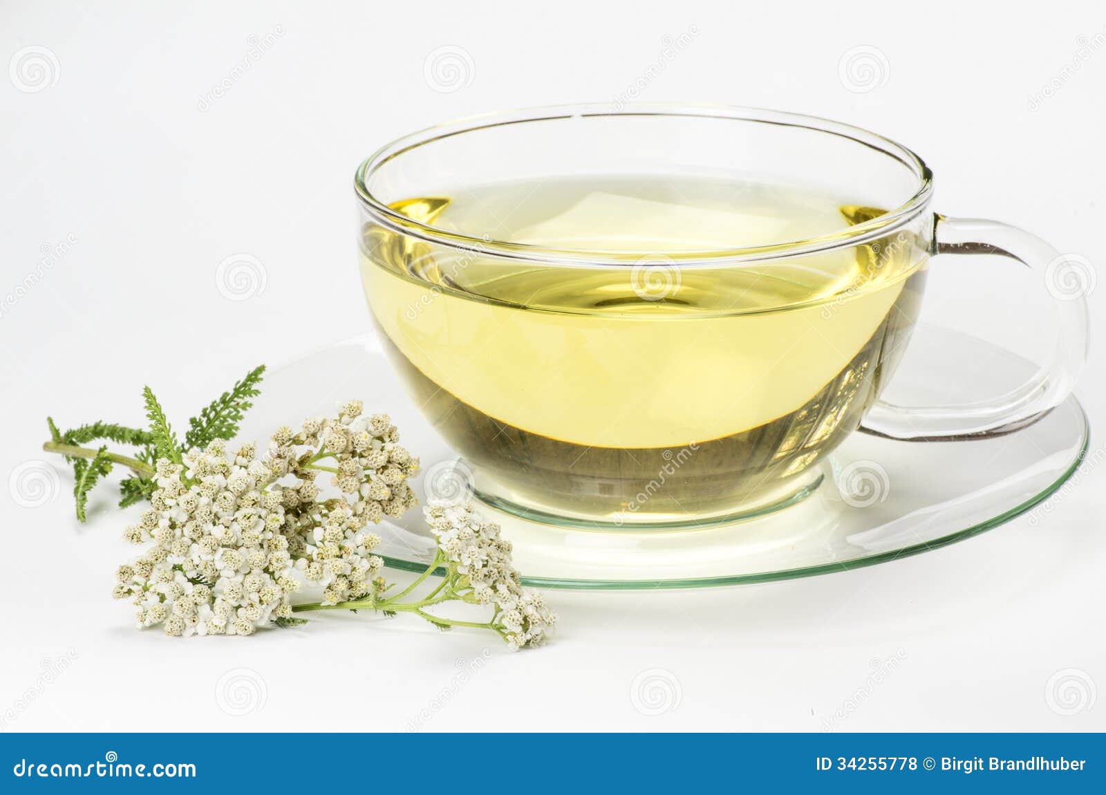 Blossom of Common Yarrow and Tea Cup Stock Photo - Image of white ...